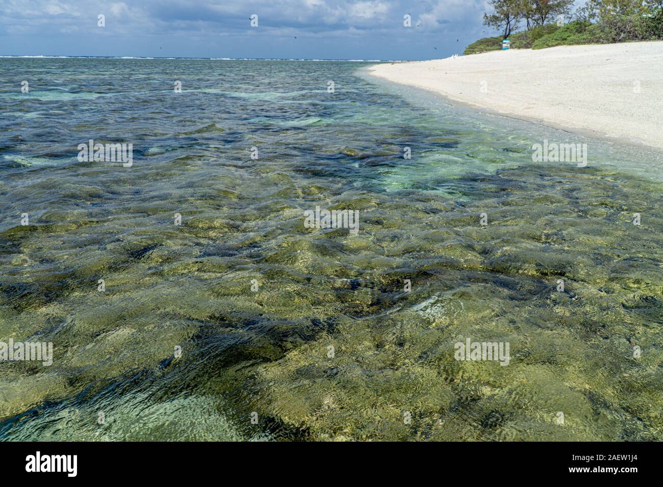Lady Elliot Island shoreline Great Barrier Reef, Australia Stock Photo ...