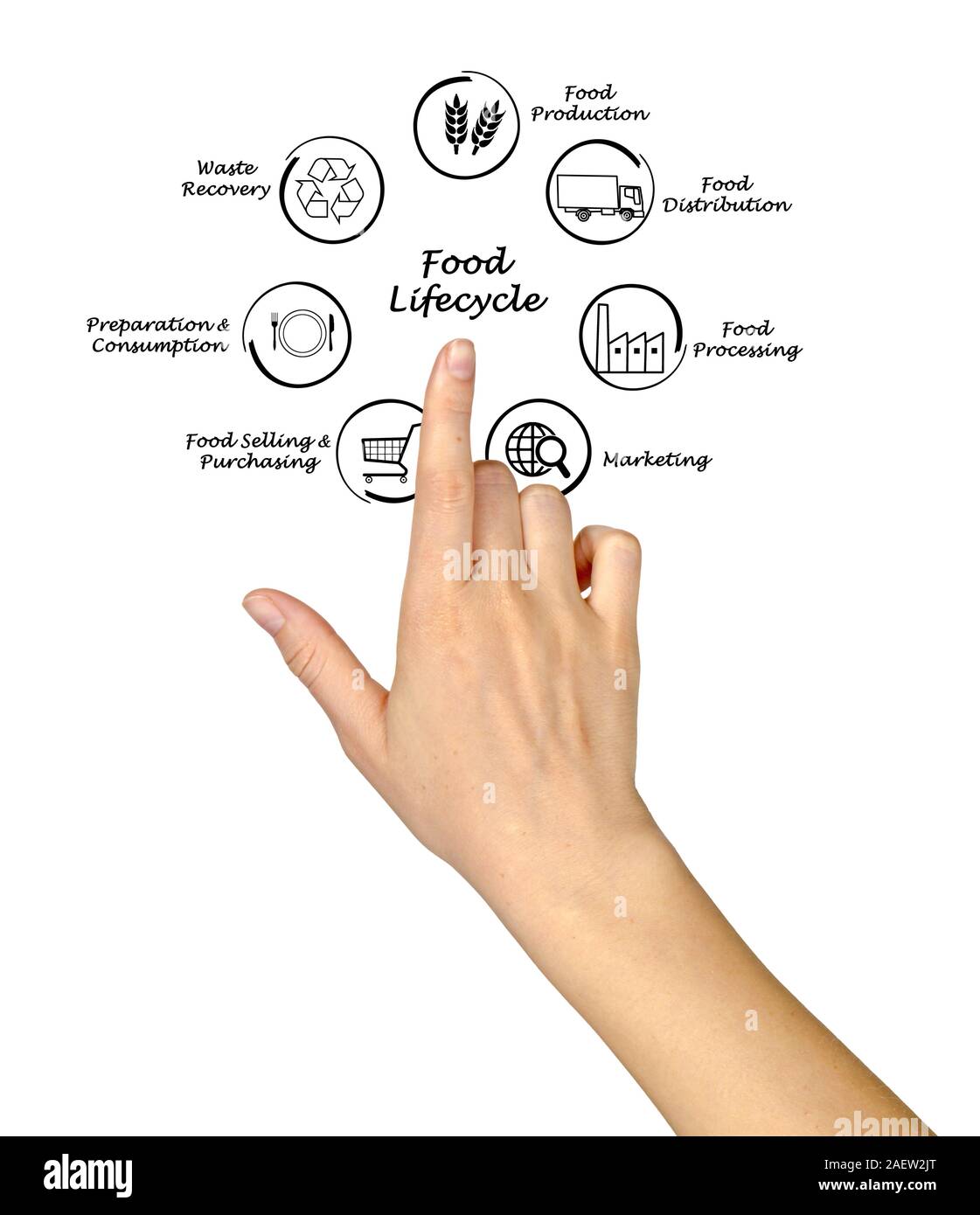 Food waste recovery hi-res stock photography and images - Alamy