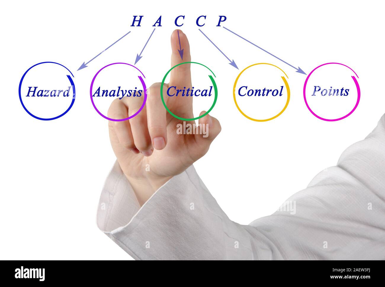 Diagram of HACCP Regulatory Requirements Stock Photo - Alamy