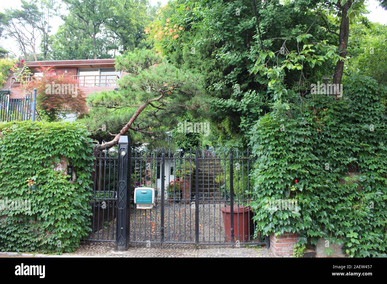 plants and gate Stock Photo - Alamy