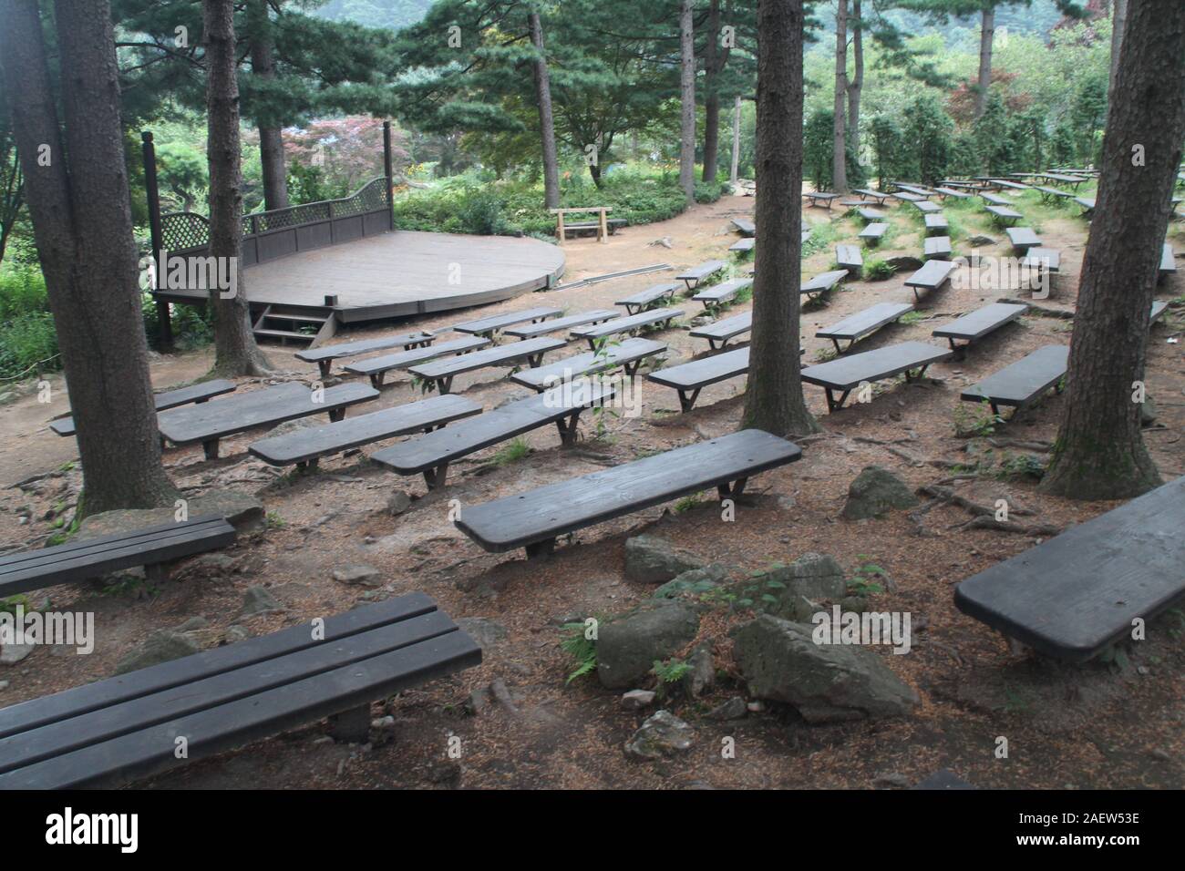 stage in forest Stock Photo - Alamy