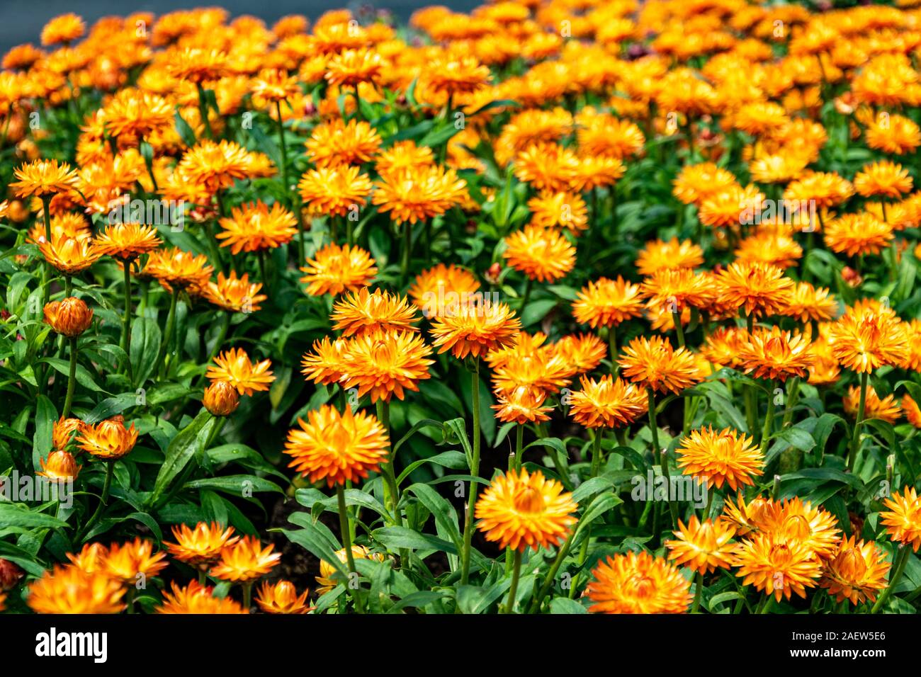 Taken Level With Bloom High Resolution Stock Photography and Images - Alamy