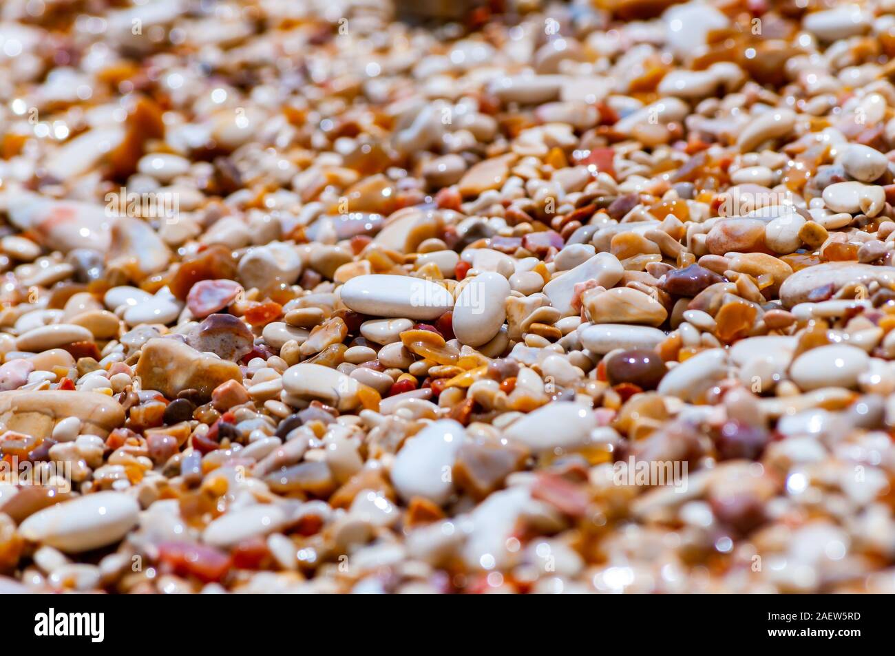 Coastal pebbles washed by Adriatic Sea water waves on Baia delle Zagare ...
