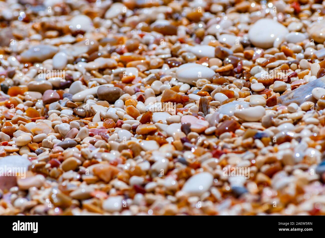 Coastal pebbles washed by Adriatic Sea water waves on Baia delle Zagare ...