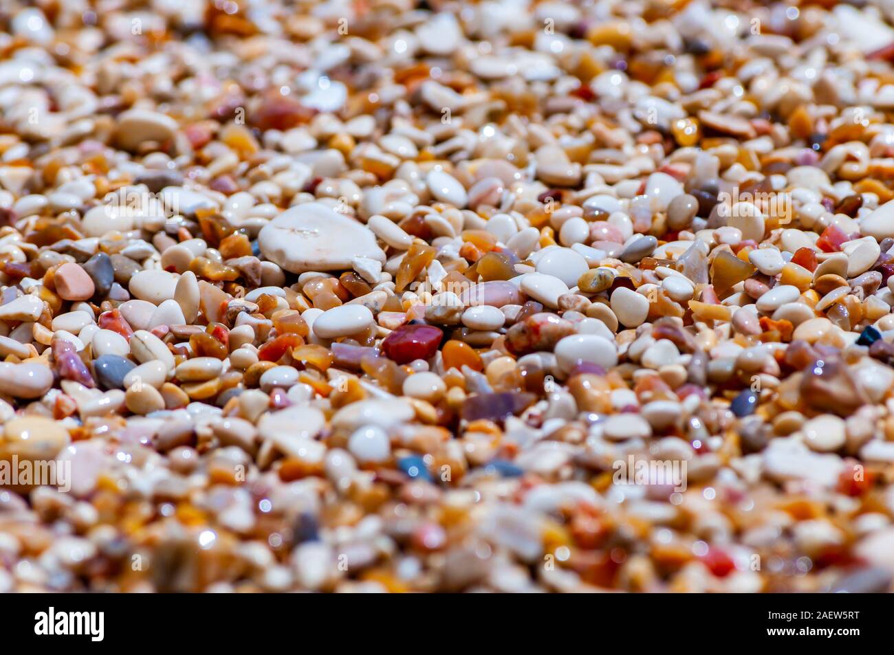 Coastal pebbles washed by Adriatic Sea water waves on Baia delle Zagare ...