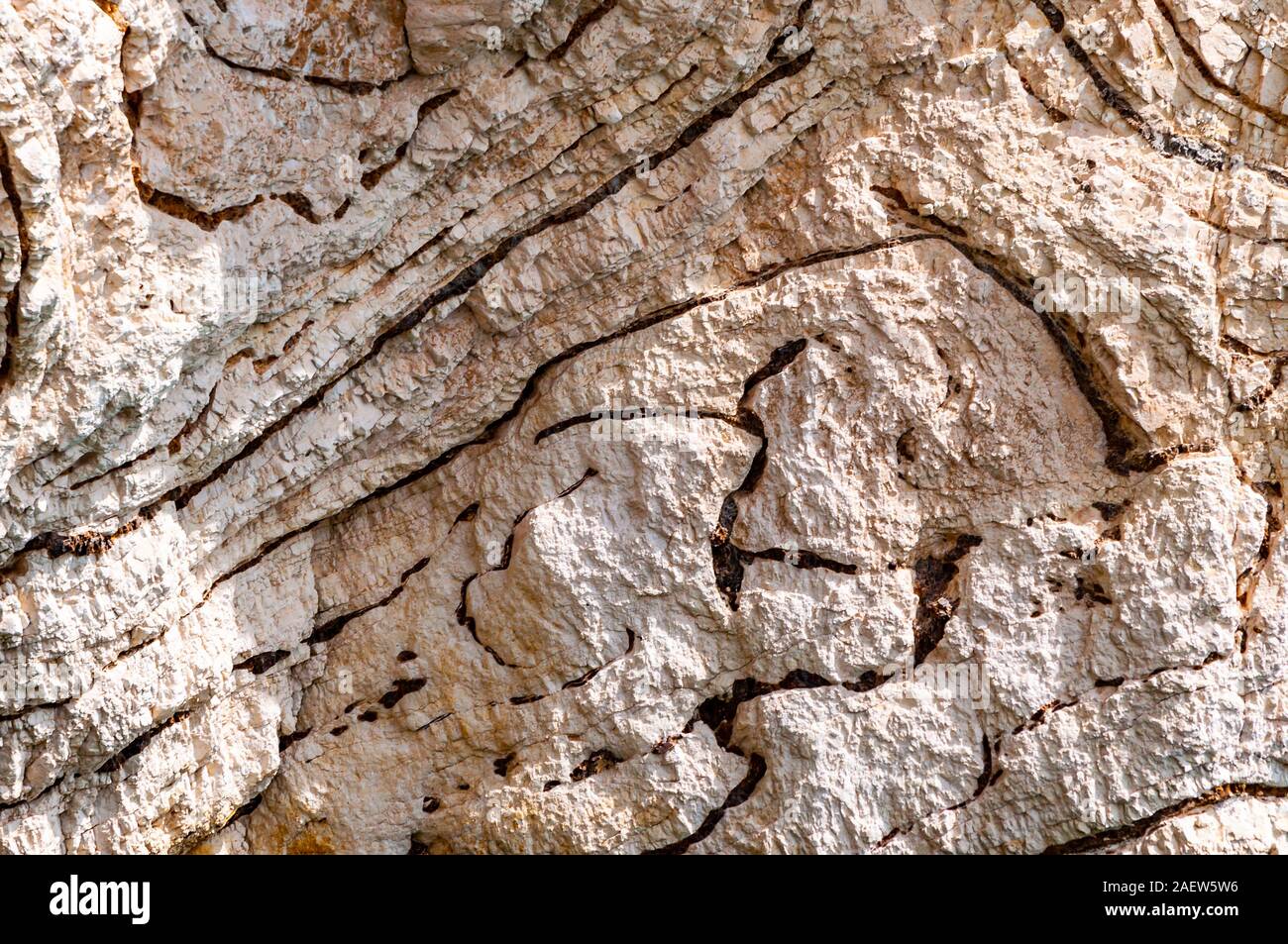 Closeup view on limestone rock texture fragment on Gargano coastline in ...