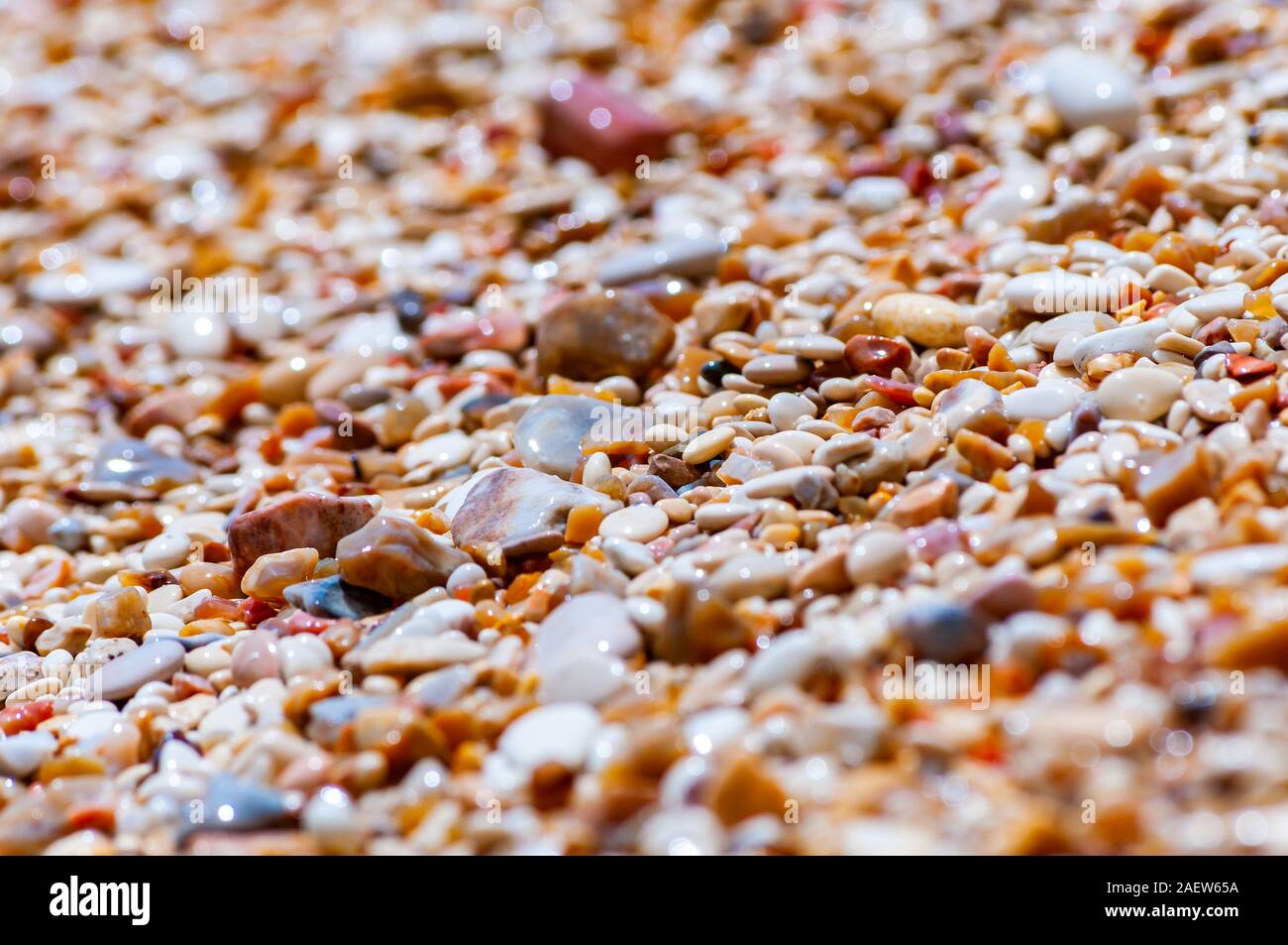 Coastal pebbles washed by Adriatic Sea water waves on Baia delle Zagare ...