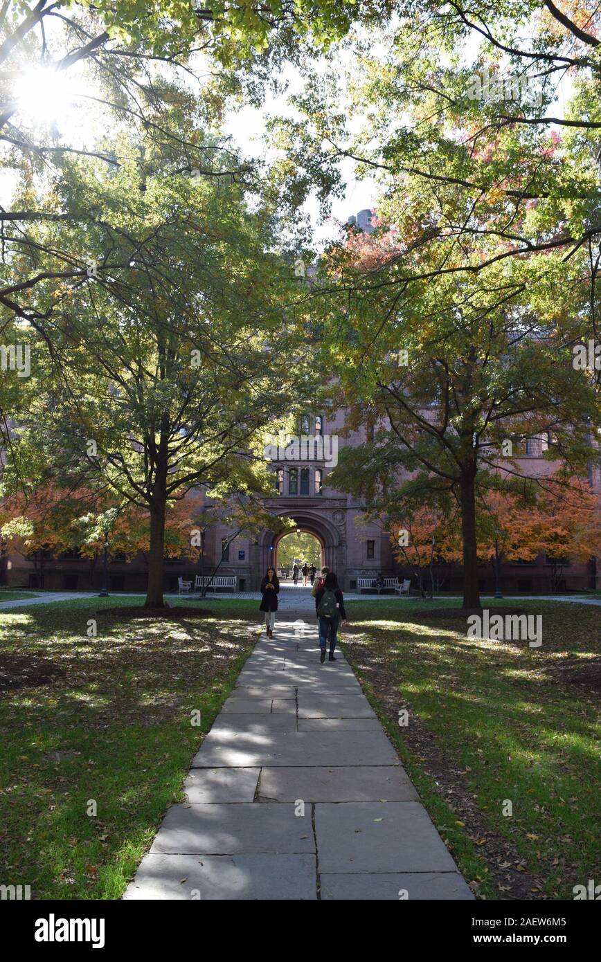 Yale university old campus hi-res stock photography and images - Alamy
