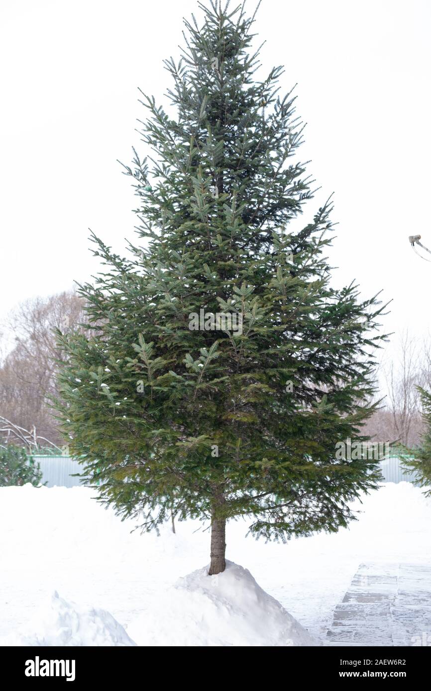 Russian haystack hi-res stock photography and images - Alamy