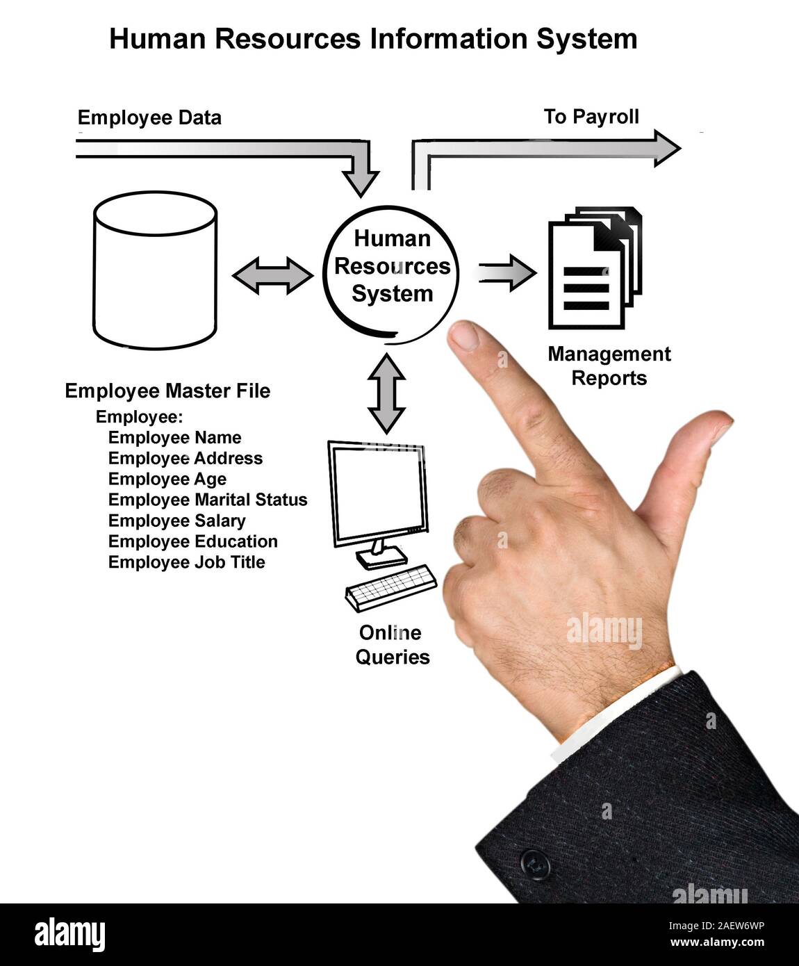 Employee information system hi-res stock photography and images - Alamy