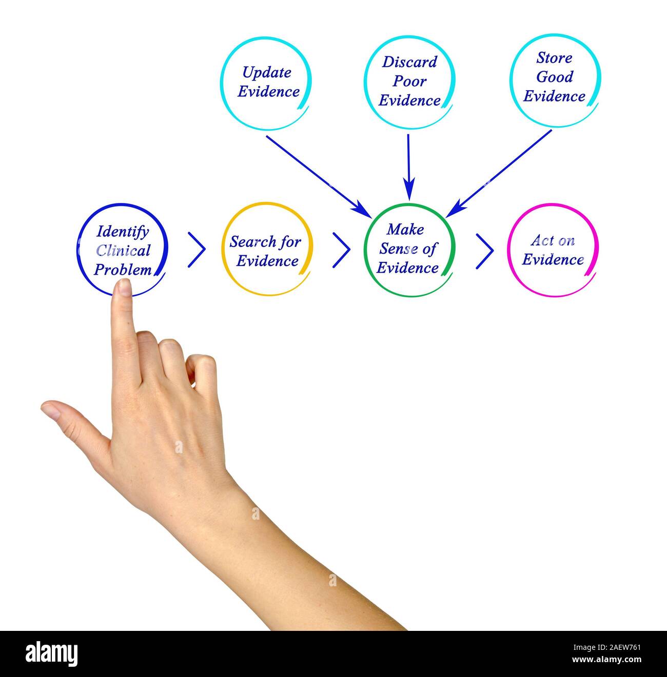 Diagram of EBP Stock Photo - Alamy