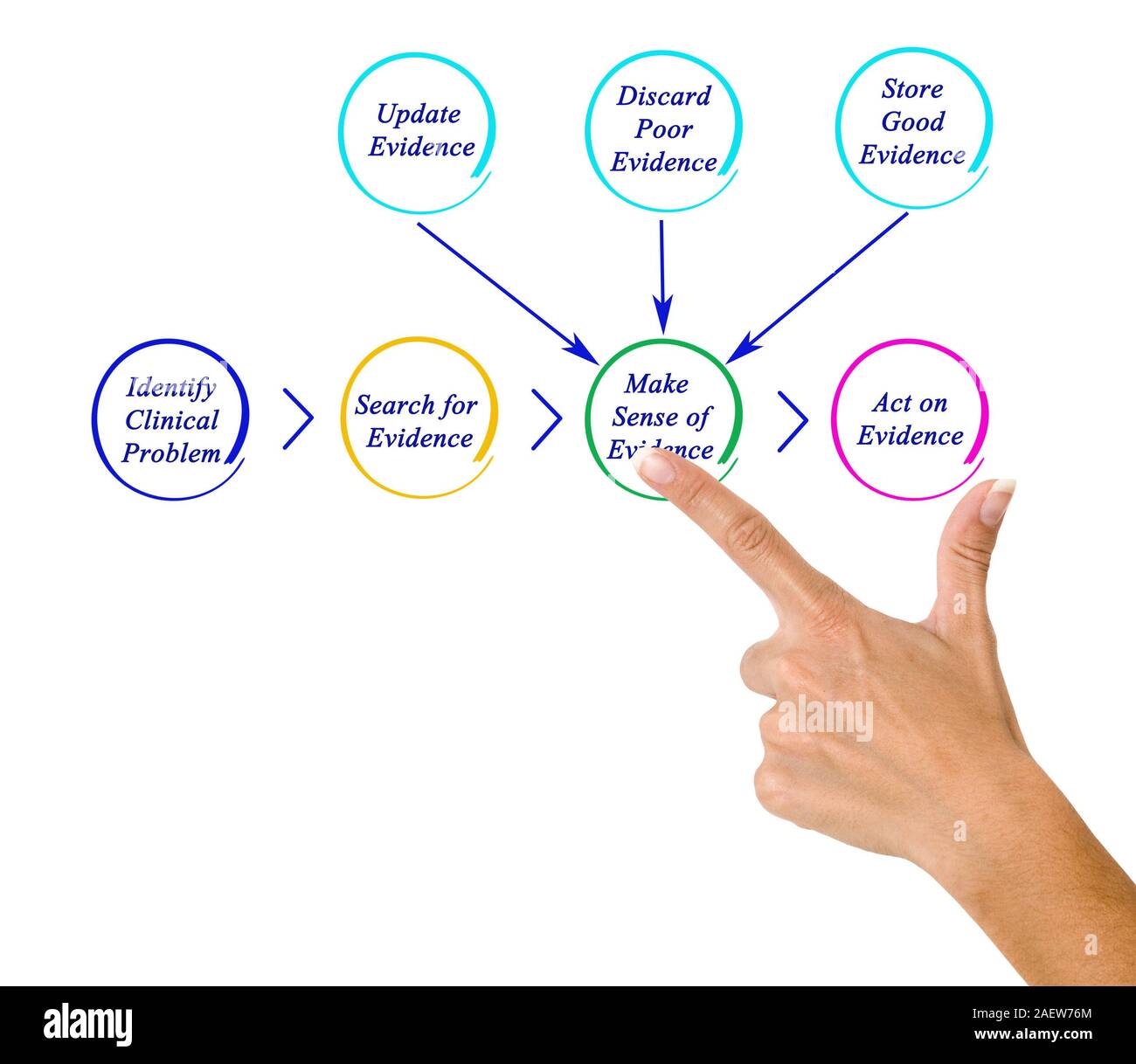 Diagram of EBP Stock Photo - Alamy