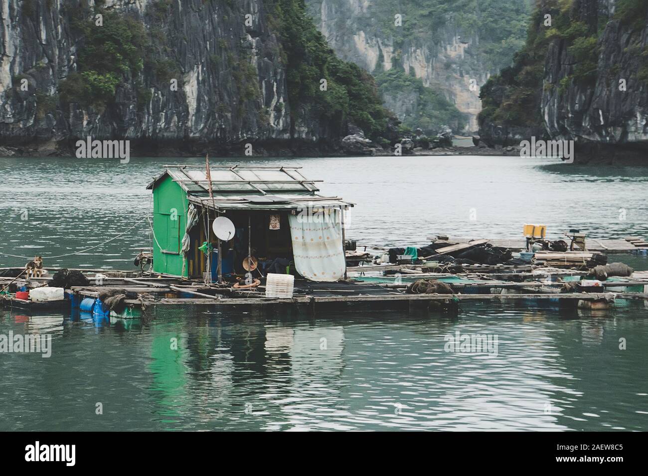 floating fish farm in ha long bay vietnam. Vietnamese woman walking on ...
