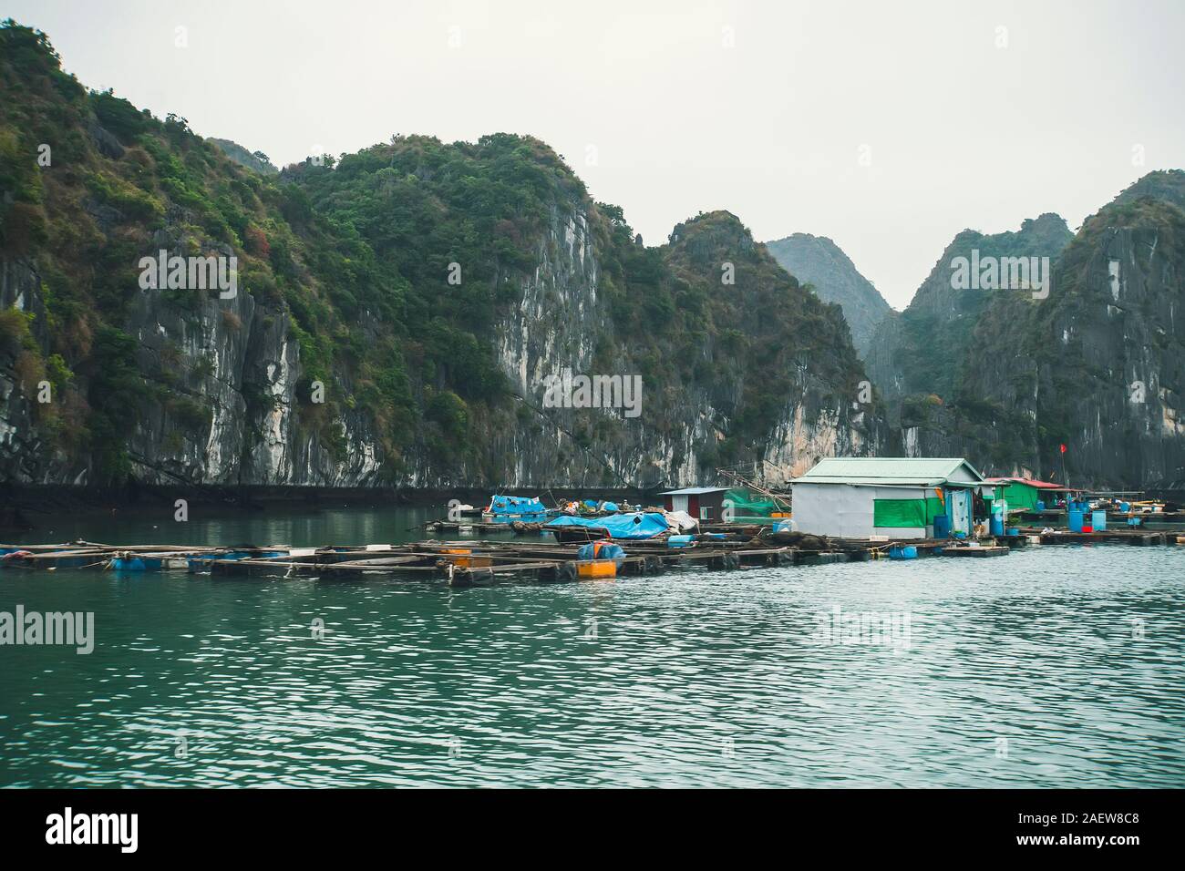 Floating fishing village in Halong Bay, Descending Dragon Bay, at the ...