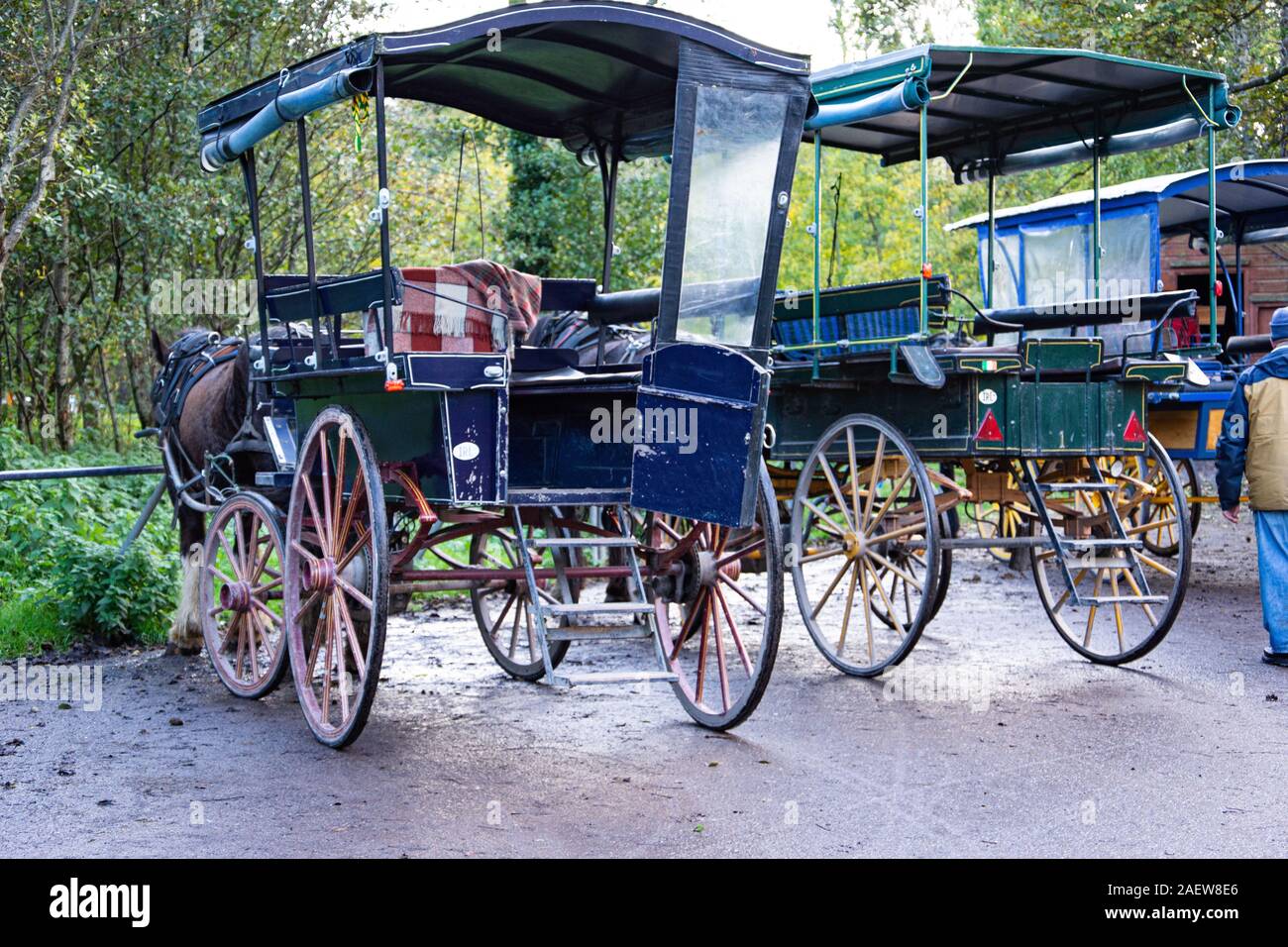 Horse-drawn tourist carriages.Vintage style Stock Photo - Alamy