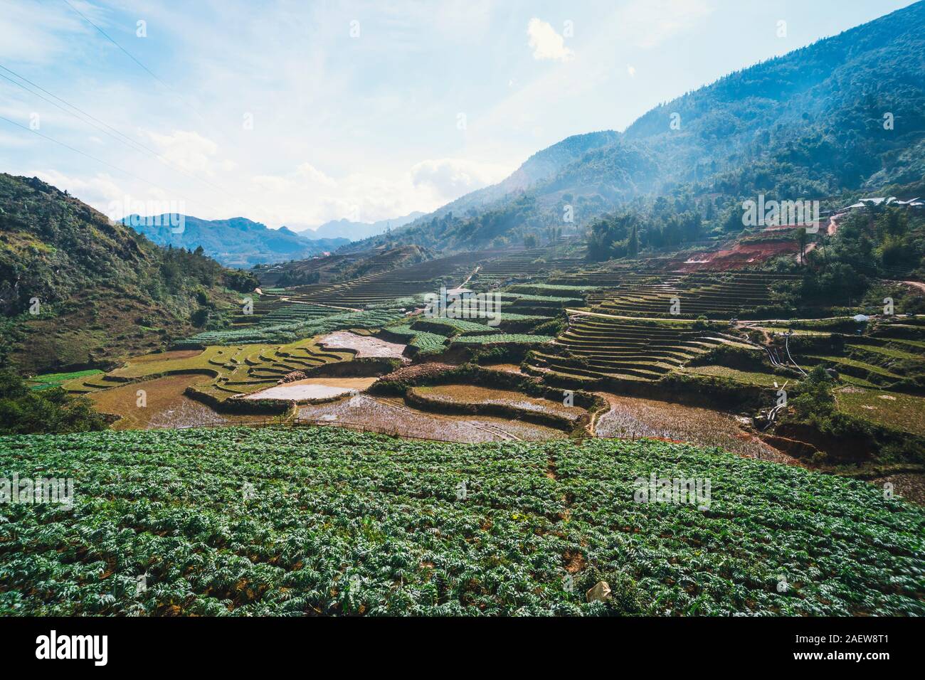 Black Hmong village and terrace rice fields in Winter on foggy and ...