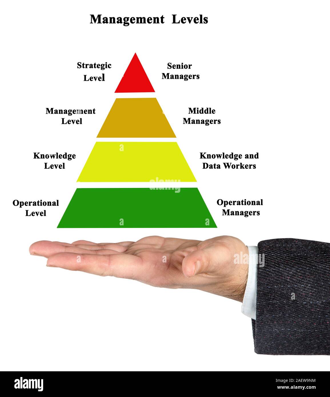 Diagram of management Stock Photo - Alamy