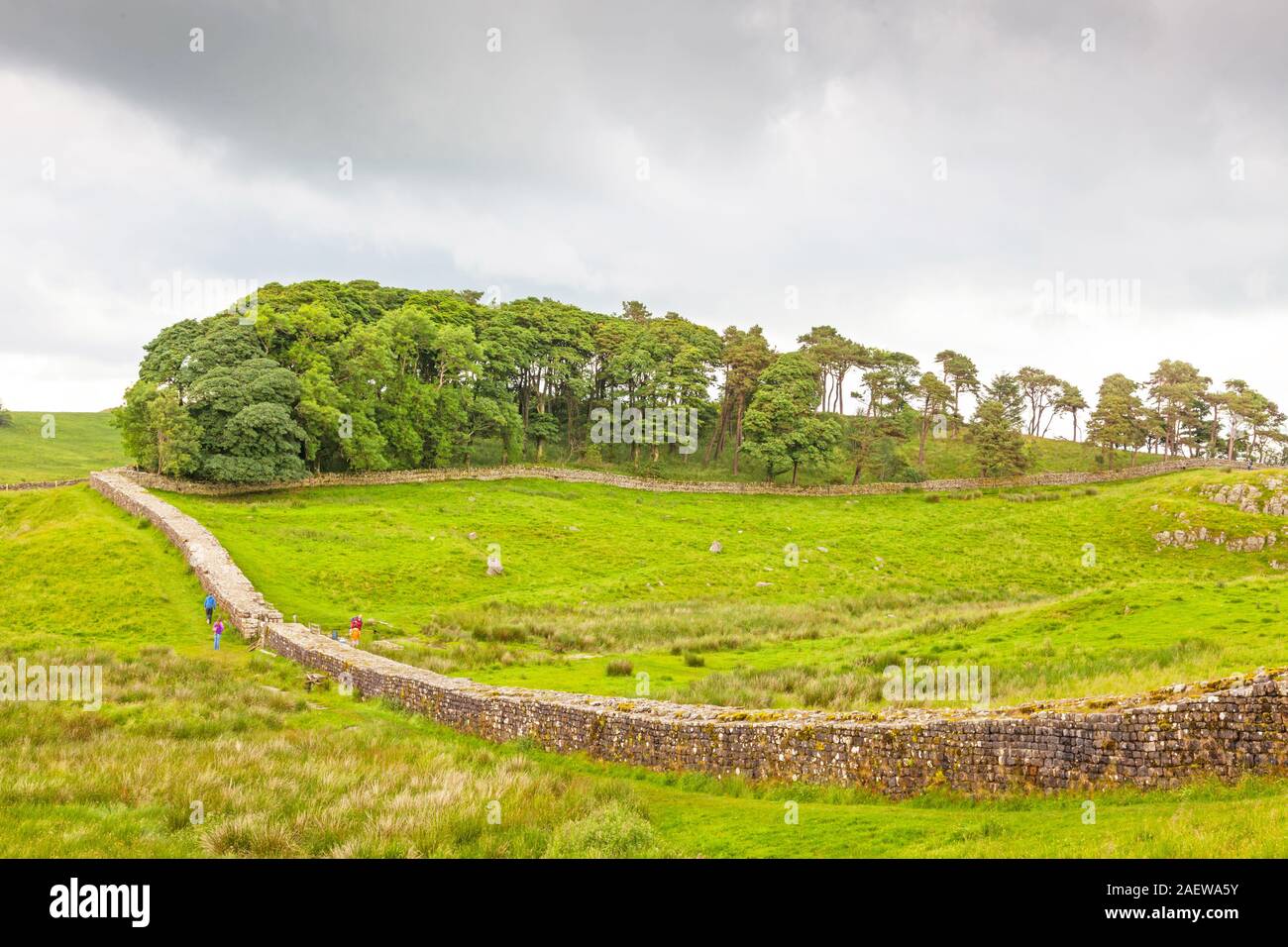 A section of Hadrian's Wall in Northumberland, England Stock Photo - Alamy
