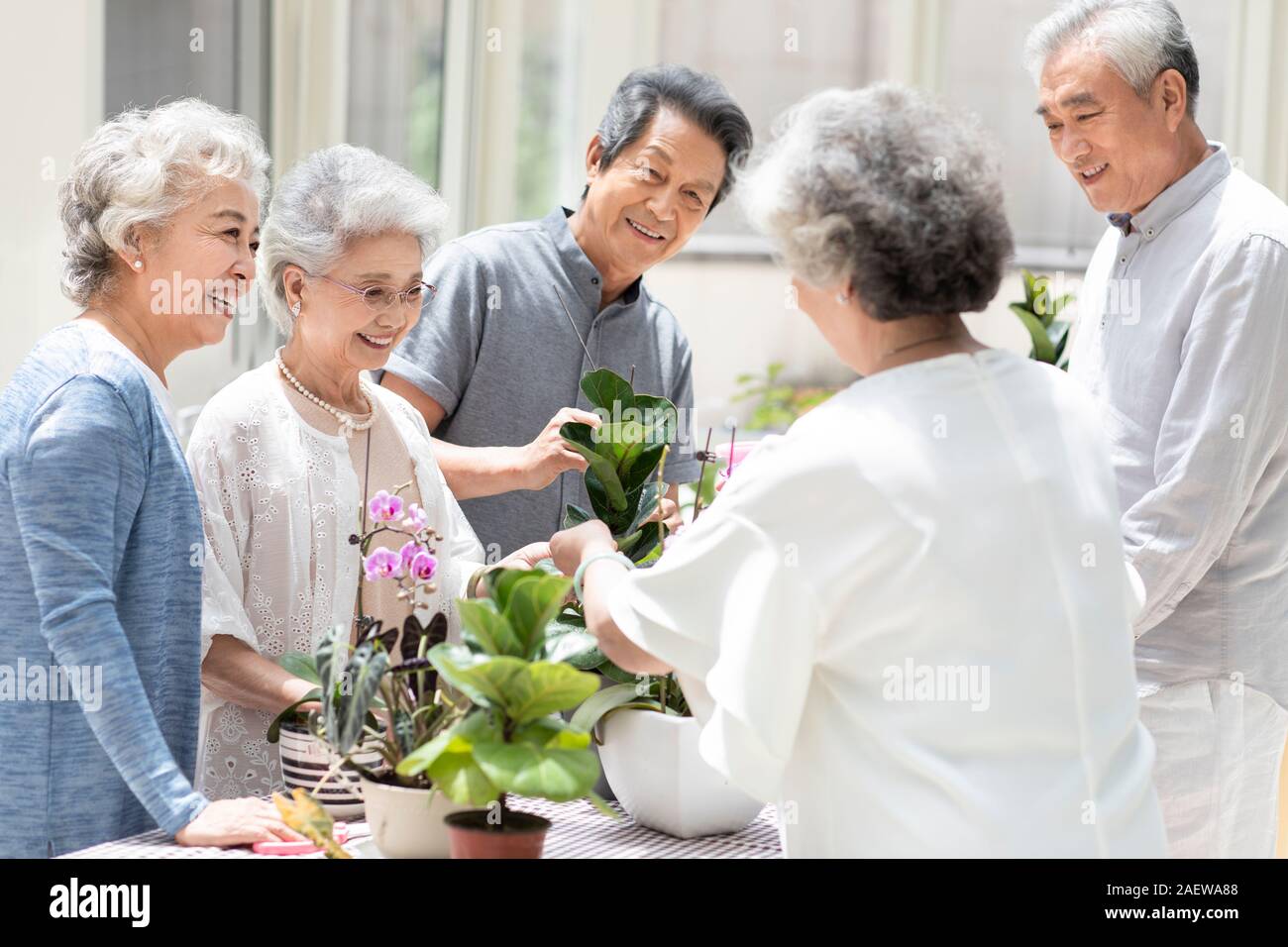 Senior friends in nursing home Stock Photo - Alamy