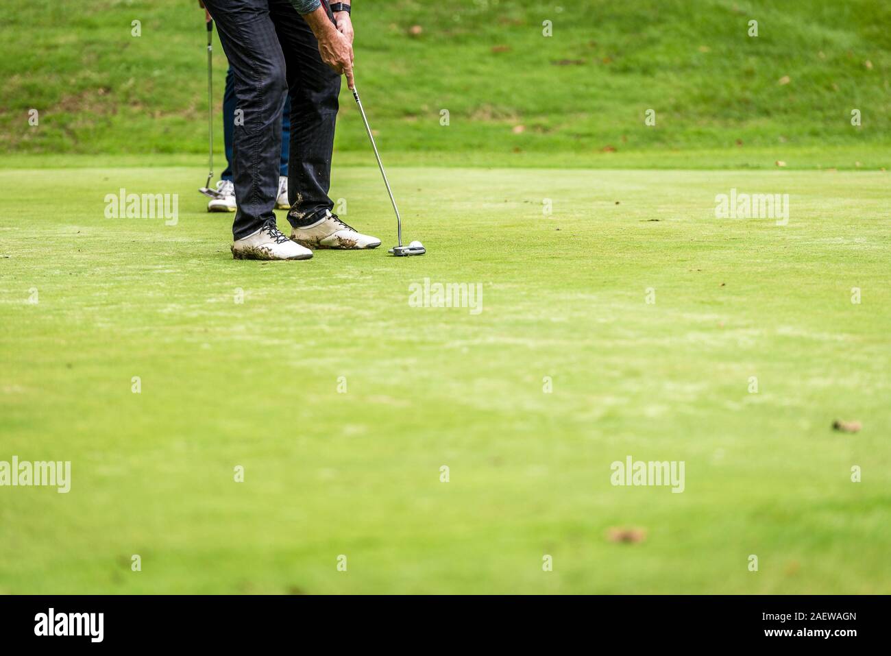 Golfer legs at golf tournament practice swing with golf club. Golf ...