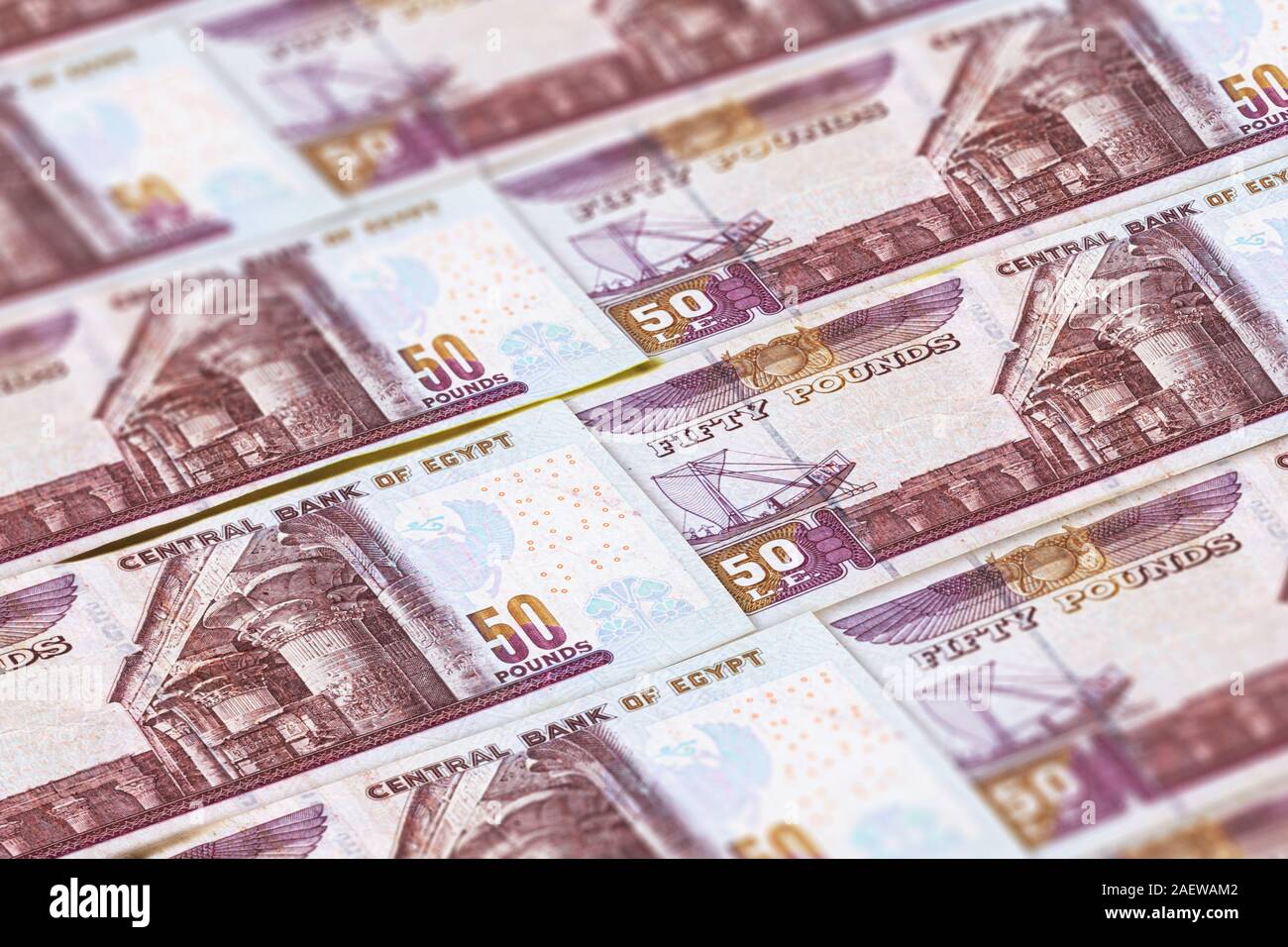 Money of Egypt. Egyptian pound background. EGP Stock Photo - Alamy