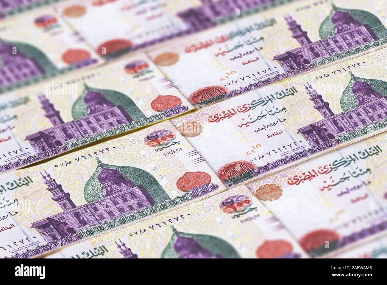 Money of Egypt. Egyptian pound background. EGP Stock Photo - Alamy