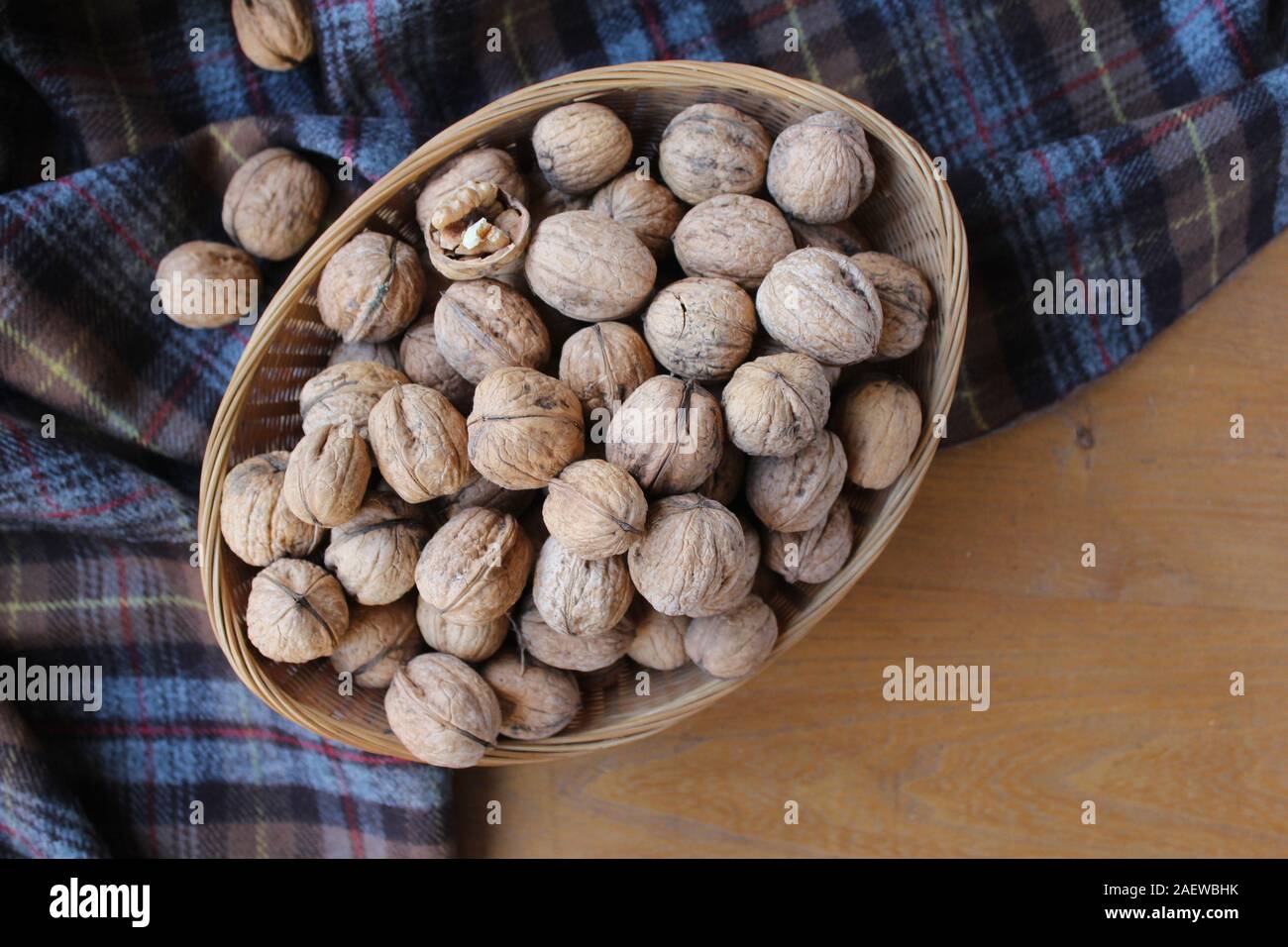 Flat top shells hi-res stock photography and images - Alamy