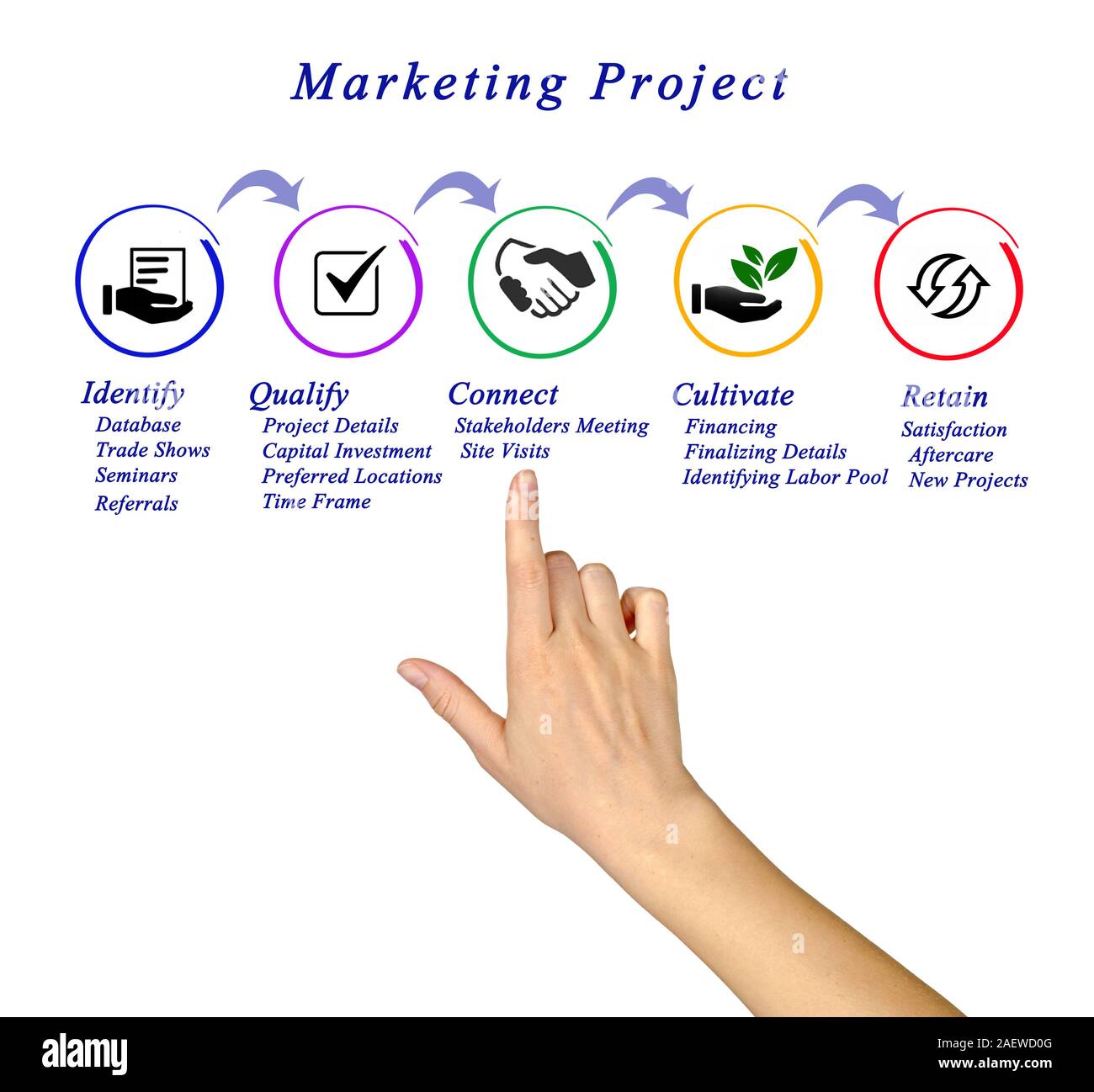 Diagram of Marketing Project Stock Photo - Alamy