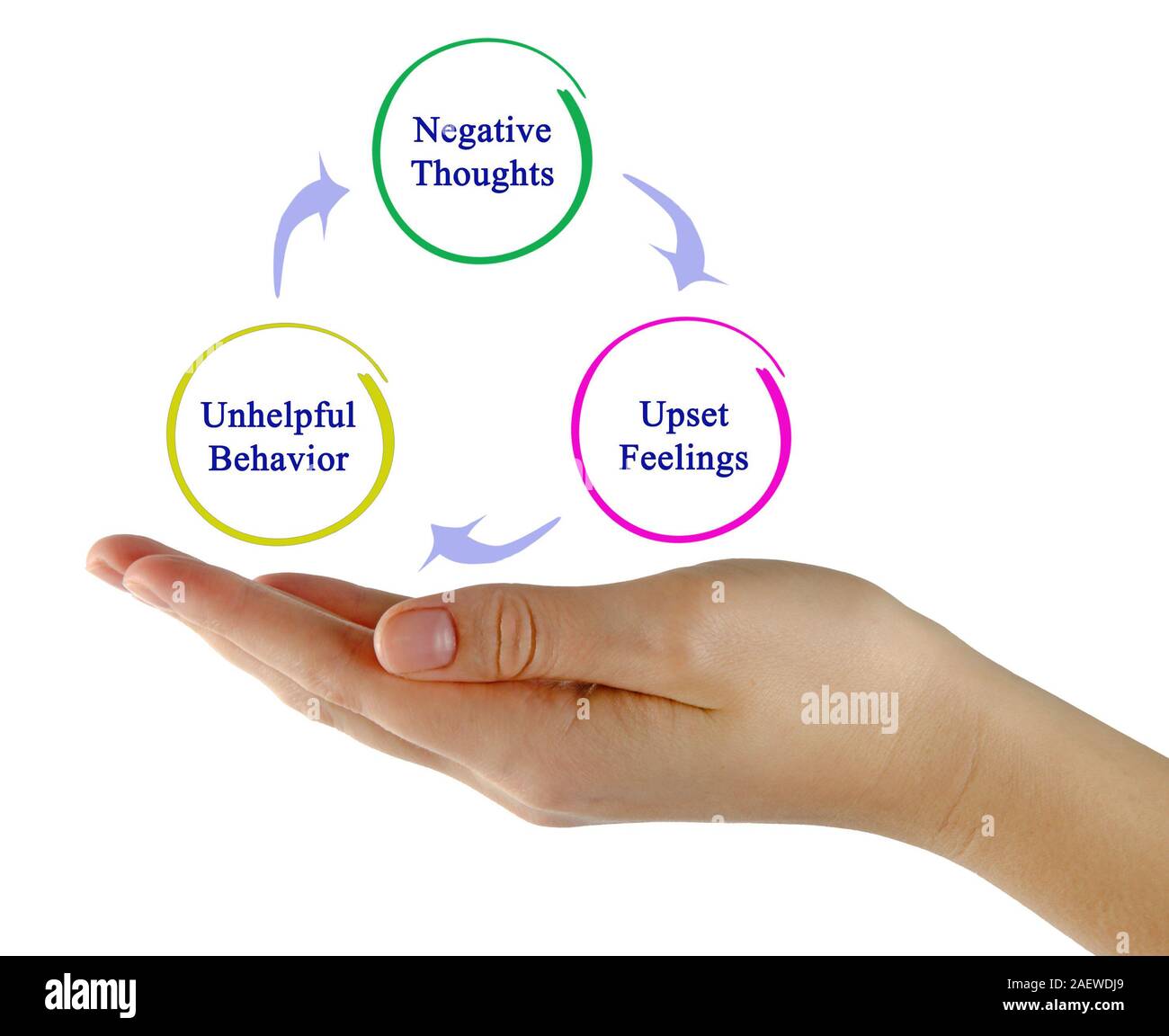 Diagram of Negative Cycle Stock Photo - Alamy