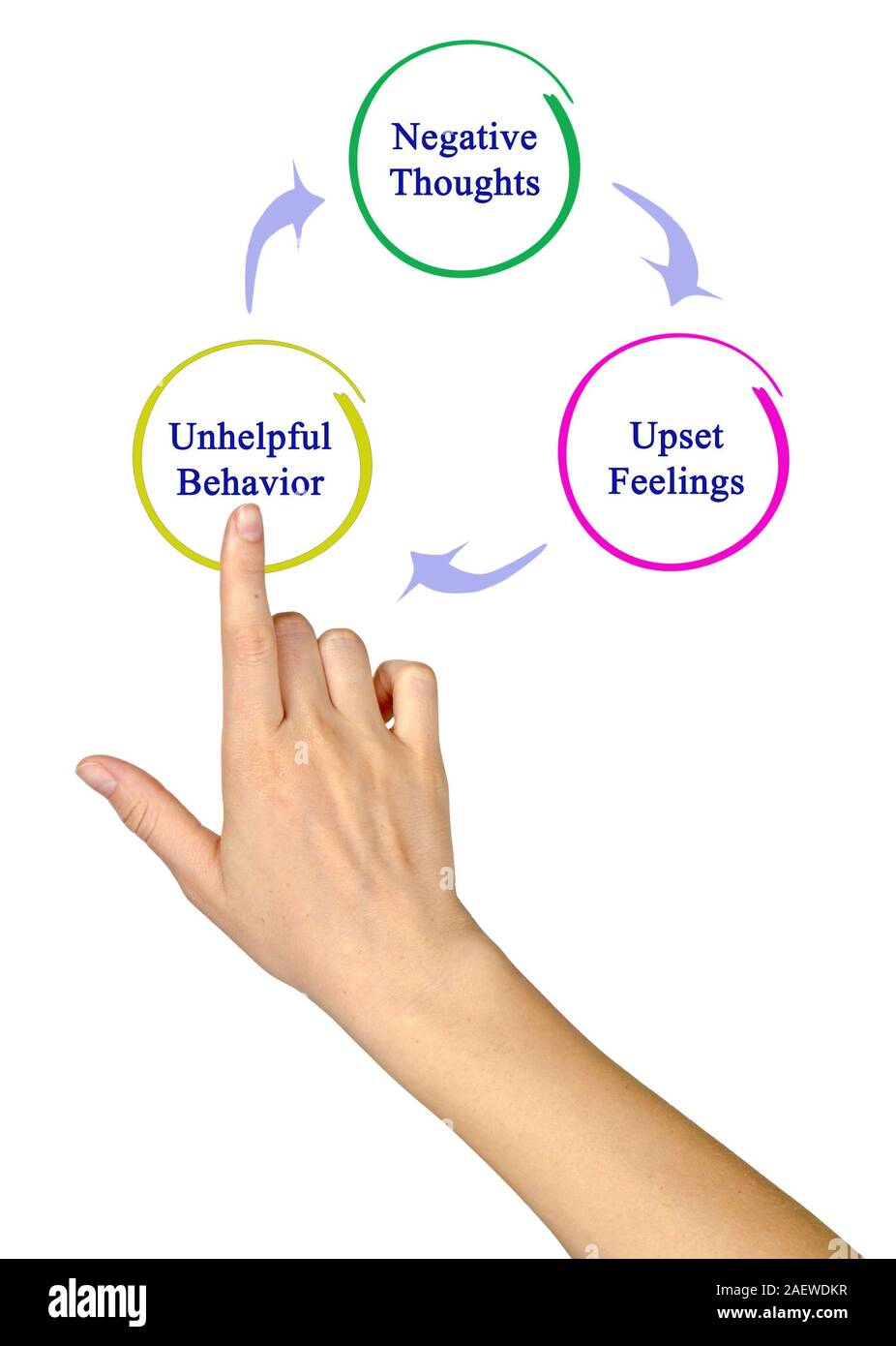Diagram of Negative Cycle Stock Photo - Alamy