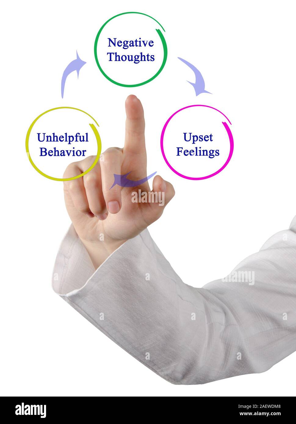 Diagram of Negative Cycle Stock Photo - Alamy