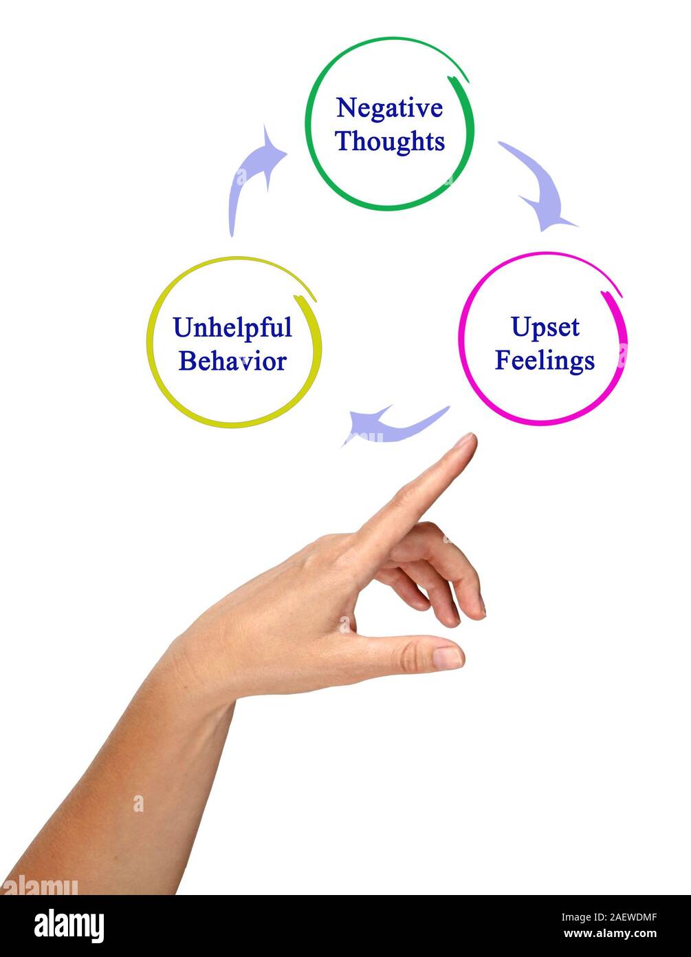 Diagram of Negative Cycle Stock Photo - Alamy