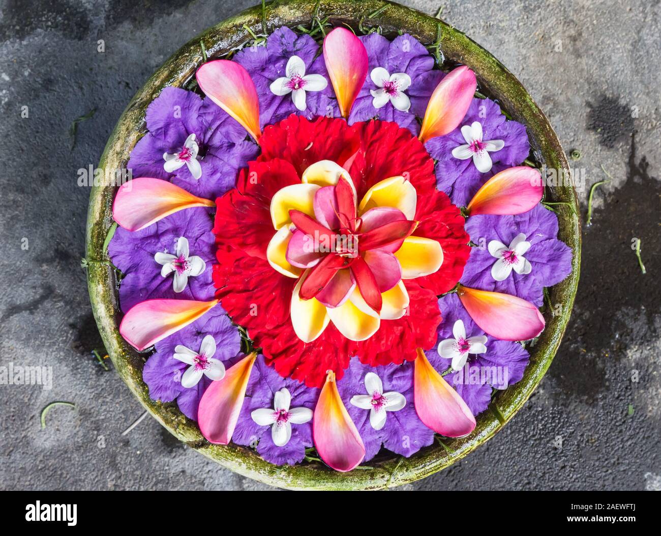 Indonesia Flower Indonesian Flowers Hi Res Stock Photography And