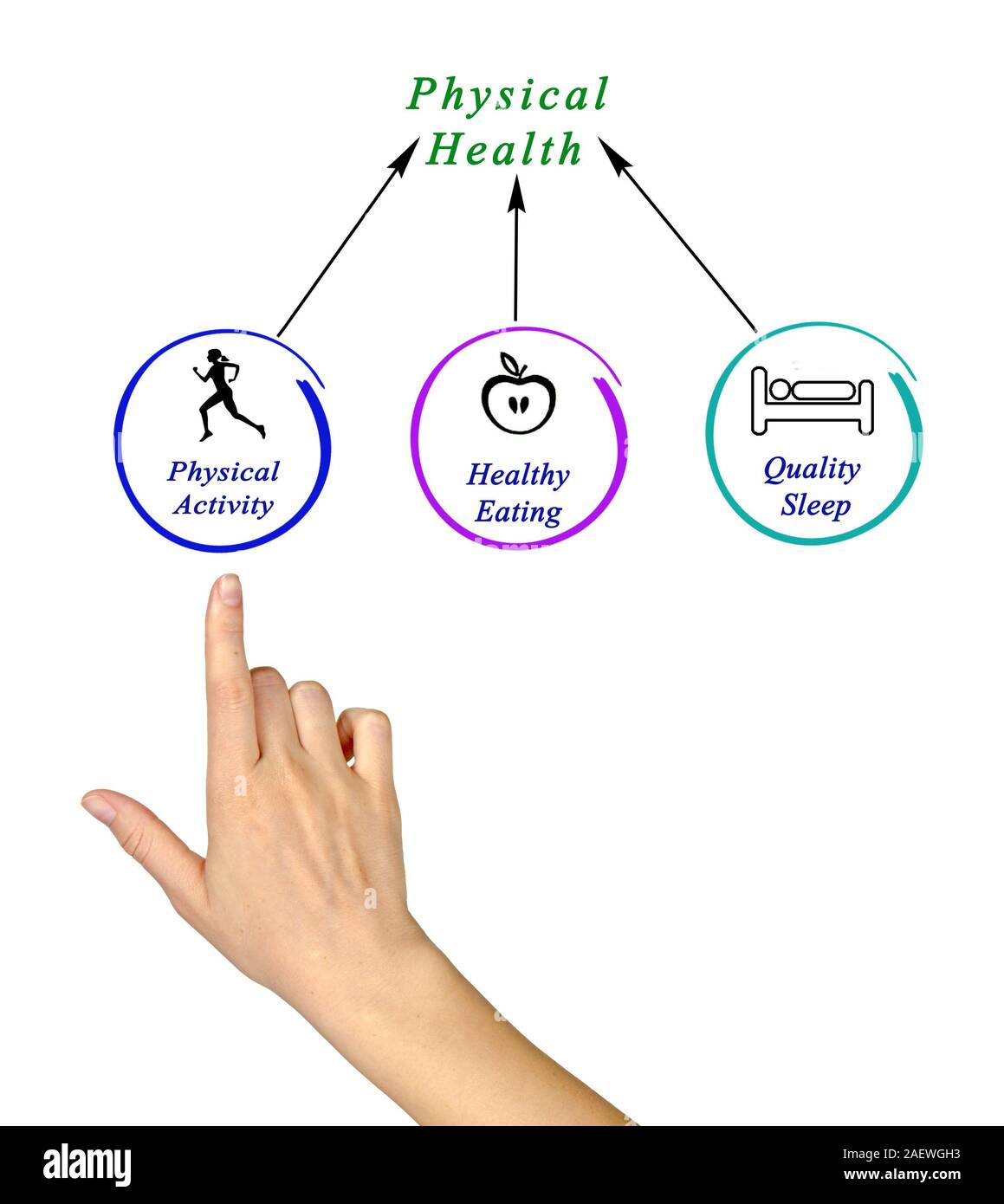 Diagram of Physical health Stock Photo - Alamy