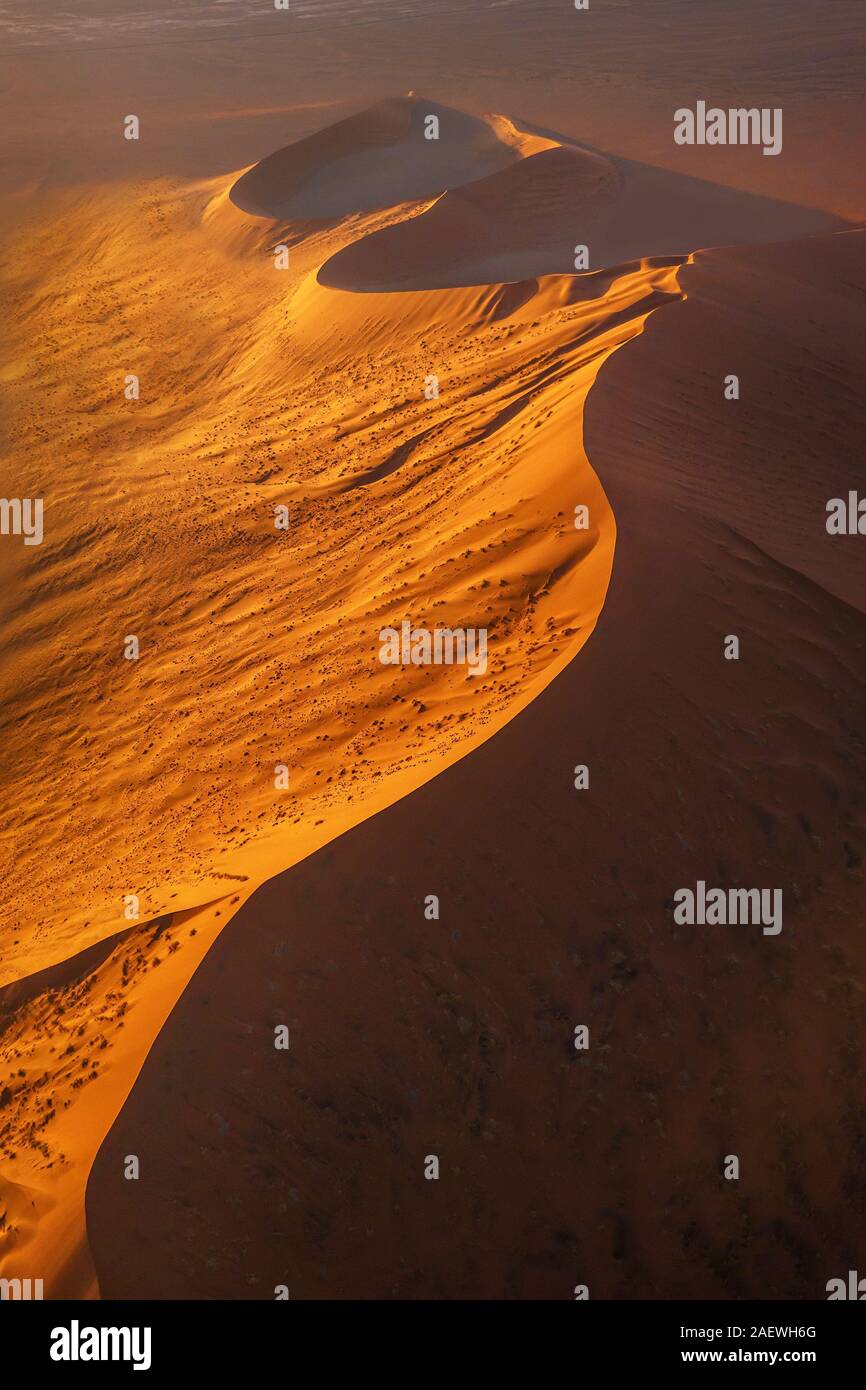 Vertical lines in nature hi-res stock photography and images - Alamy