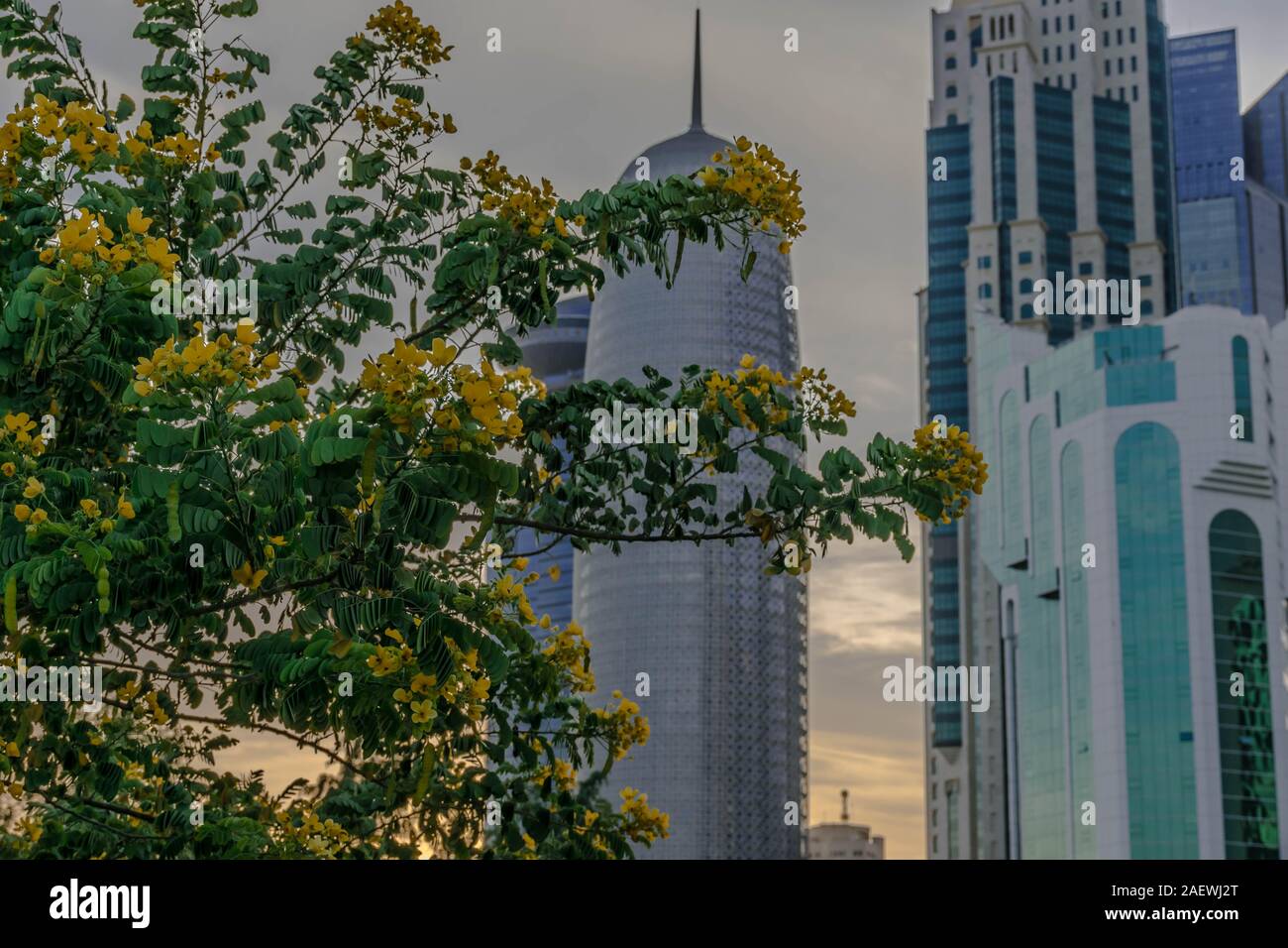 Doha CityScape View Stock Photo - Alamy