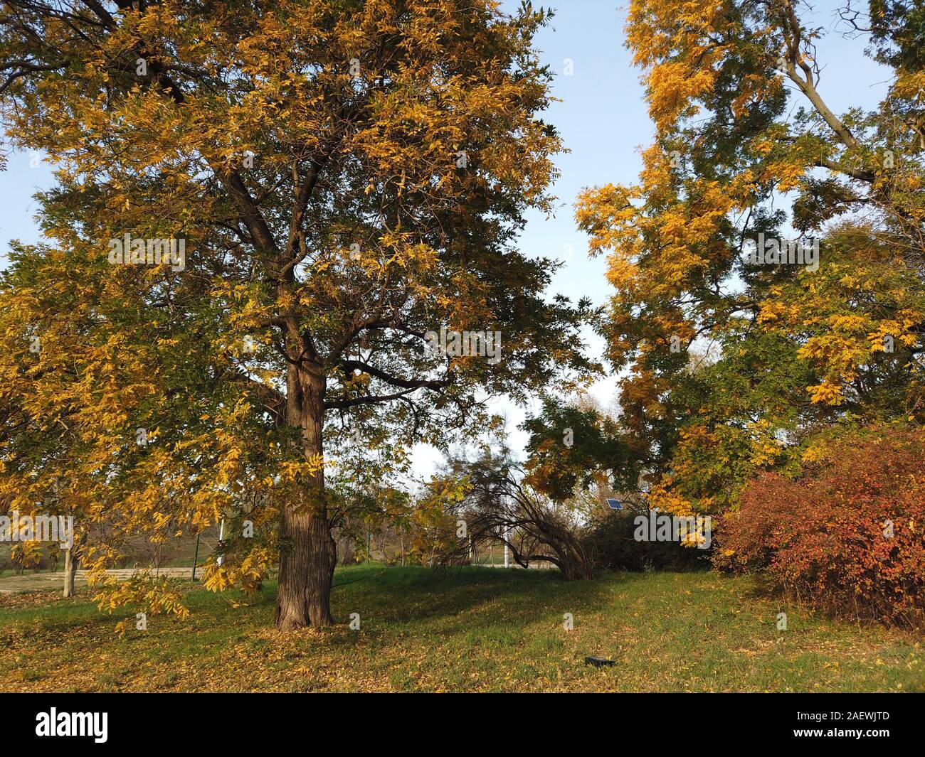 Soare hi-res stock photography and images - Alamy