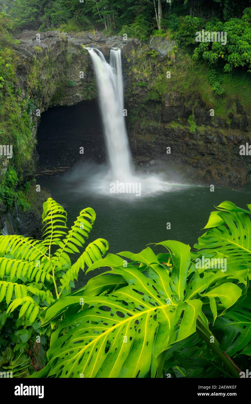 Waianuenue Rainbow Falls High Resolution Stock Photography and Images ...