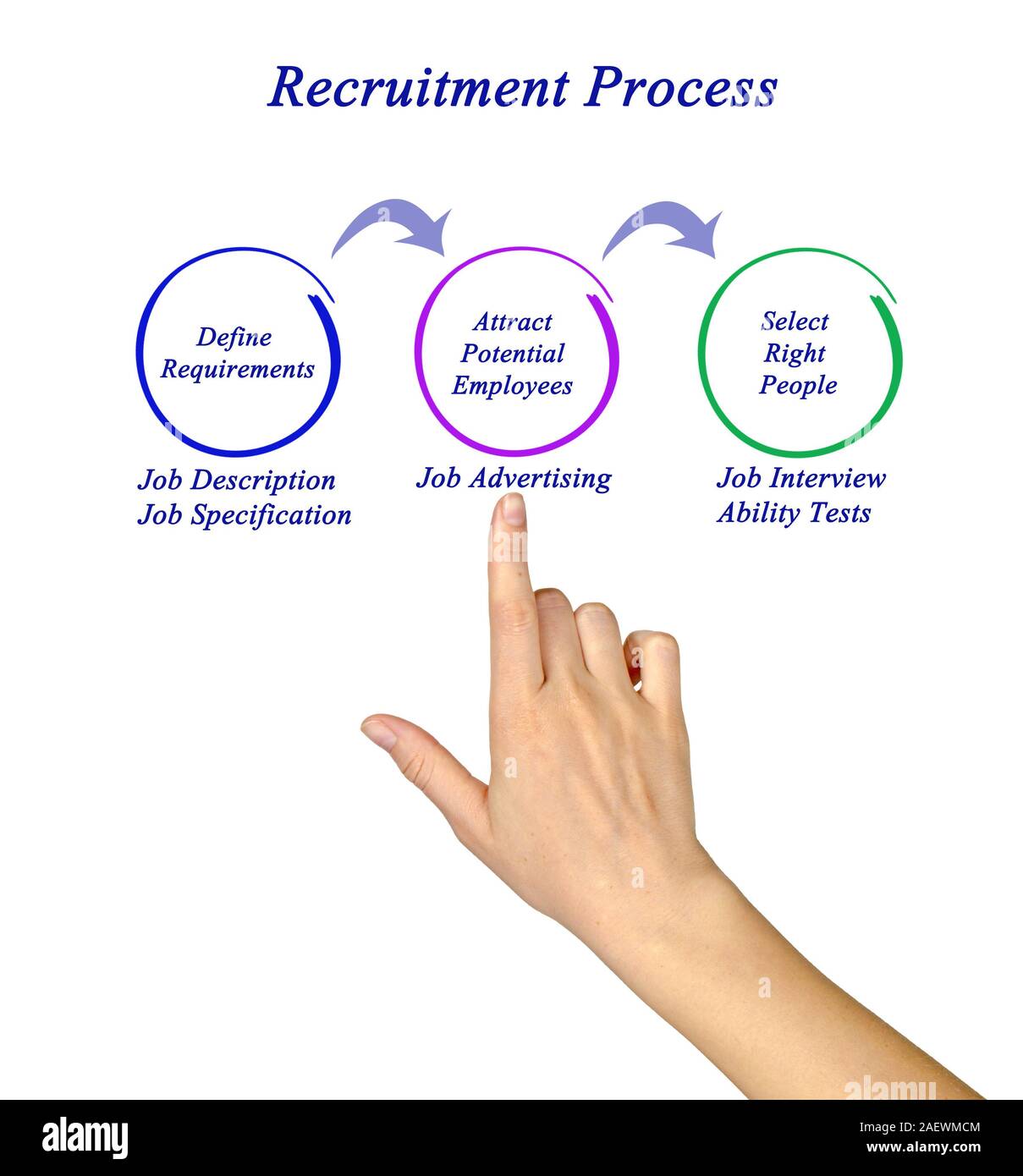 Diagram of Recruitment Process Stock Photo - Alamy