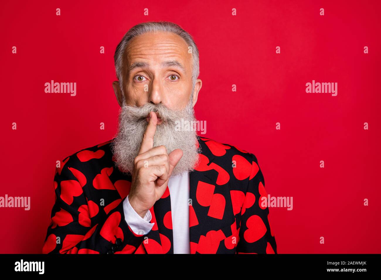 Close-up portrait of his he nice attractive funky mysterious gray ...