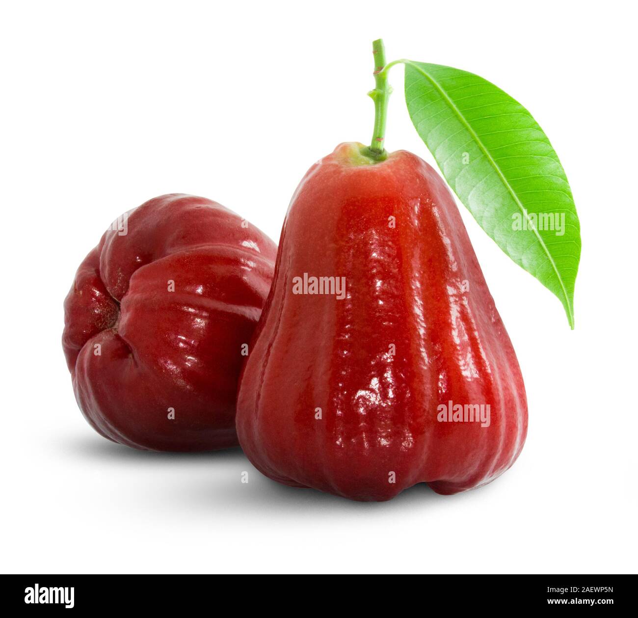 Rose apples or chomphu isolated on white with clipping path Stock Photo ...