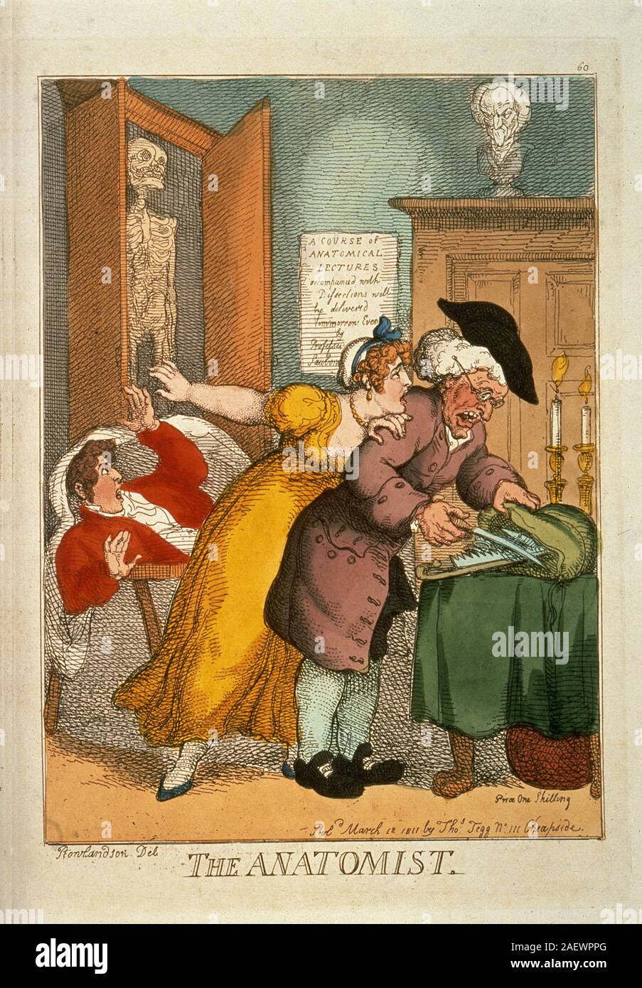 Subject for dissection hi-res stock photography and images - Alamy