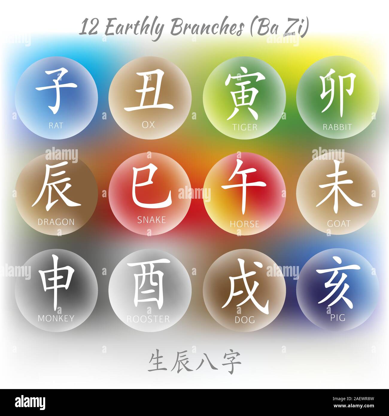 Set of symbols from chinese hieroglyphs. Translation of 12 zodiac ...