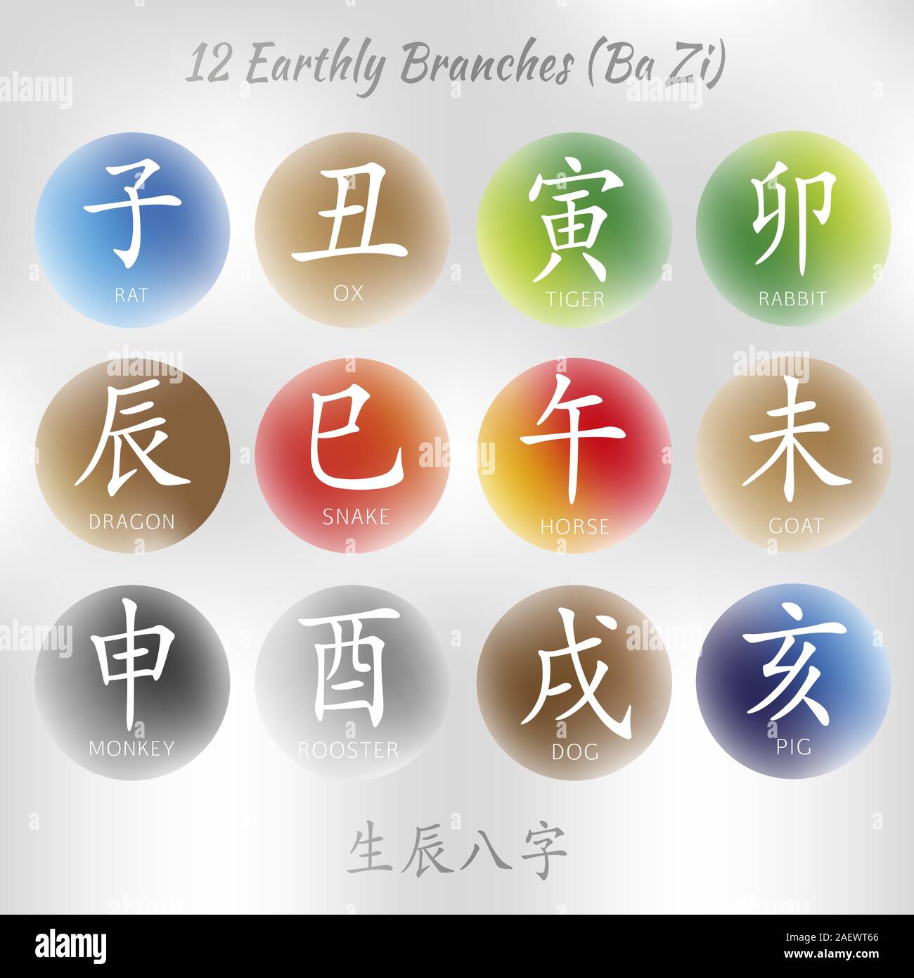 Set of symbols from chinese hieroglyphs. Translation of 12 zodiac ...