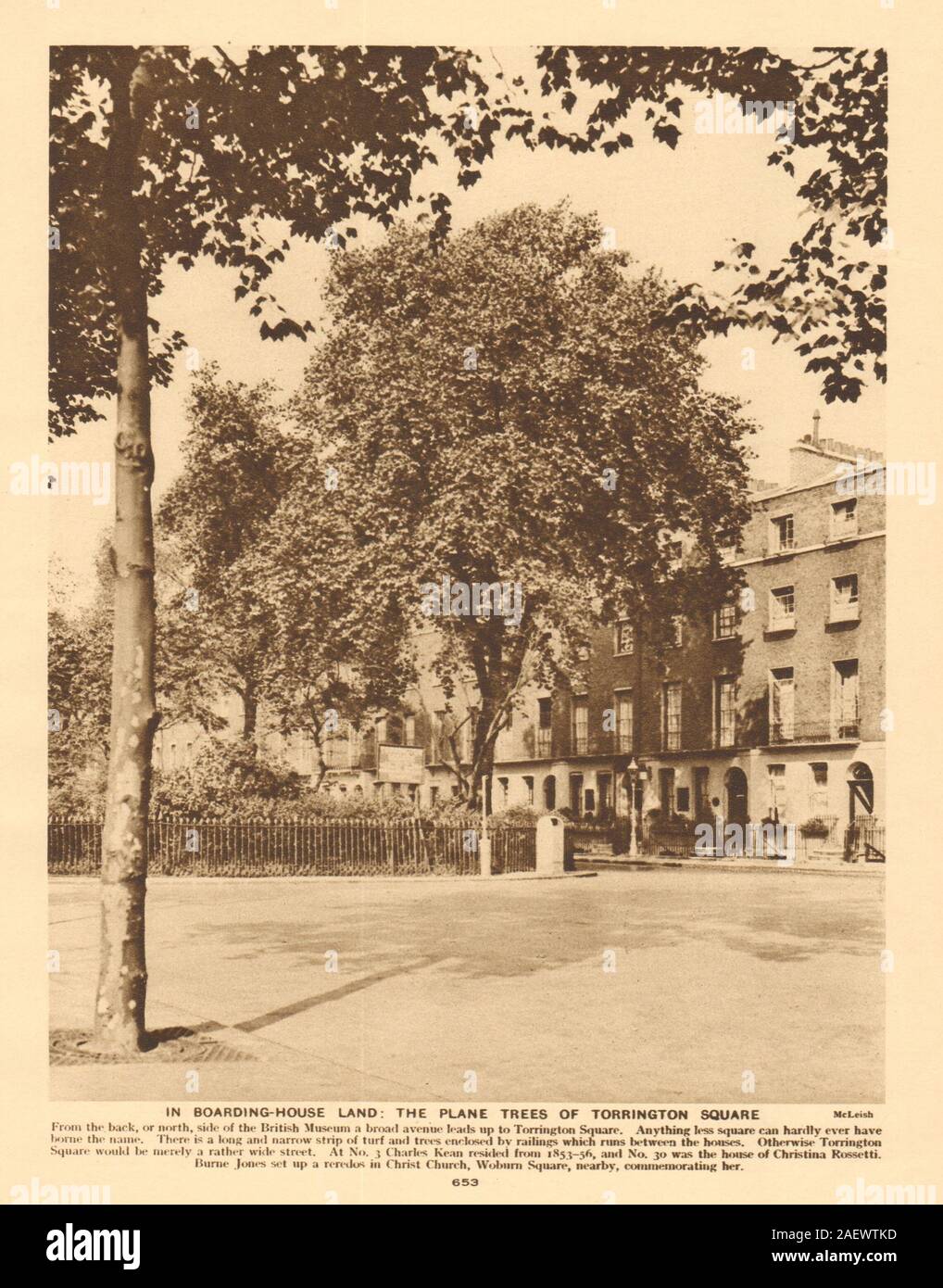 The plane trees of Torrington Square, Bloomsbury 1926 old vintage print ...