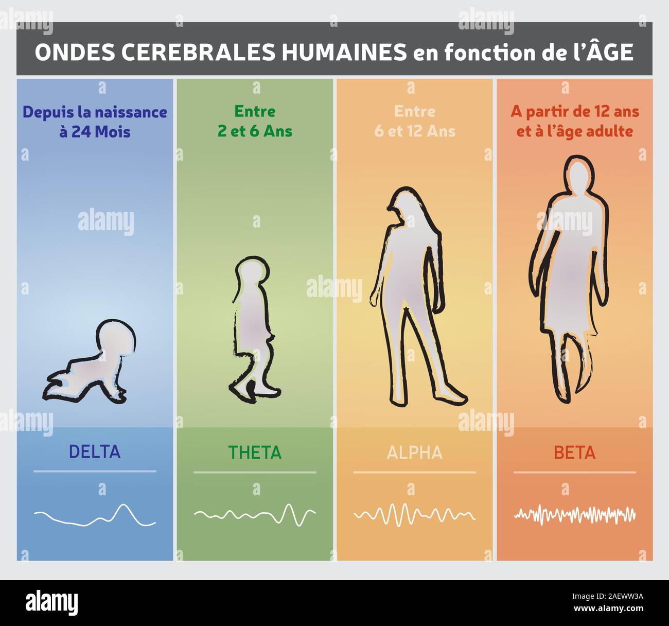 Human Brain Waves by Age Chart Diagram - People Silhouettes - French ...