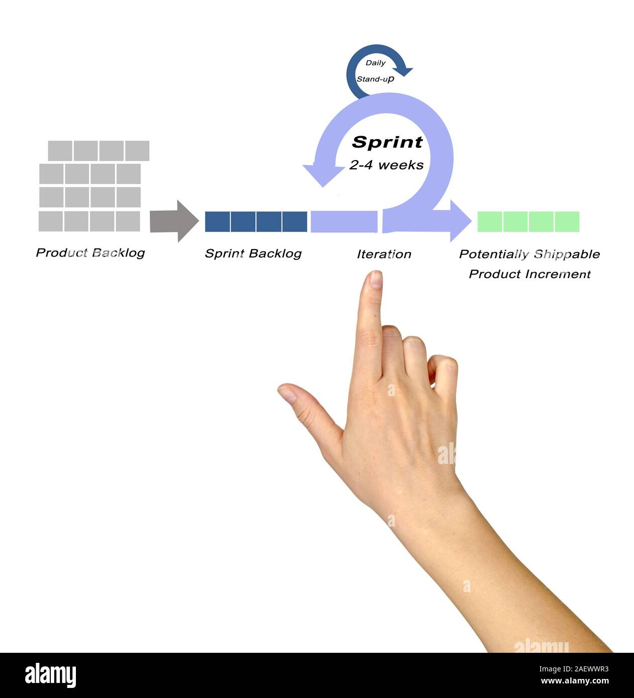 Components of SCRUM model Stock Photo - Alamy