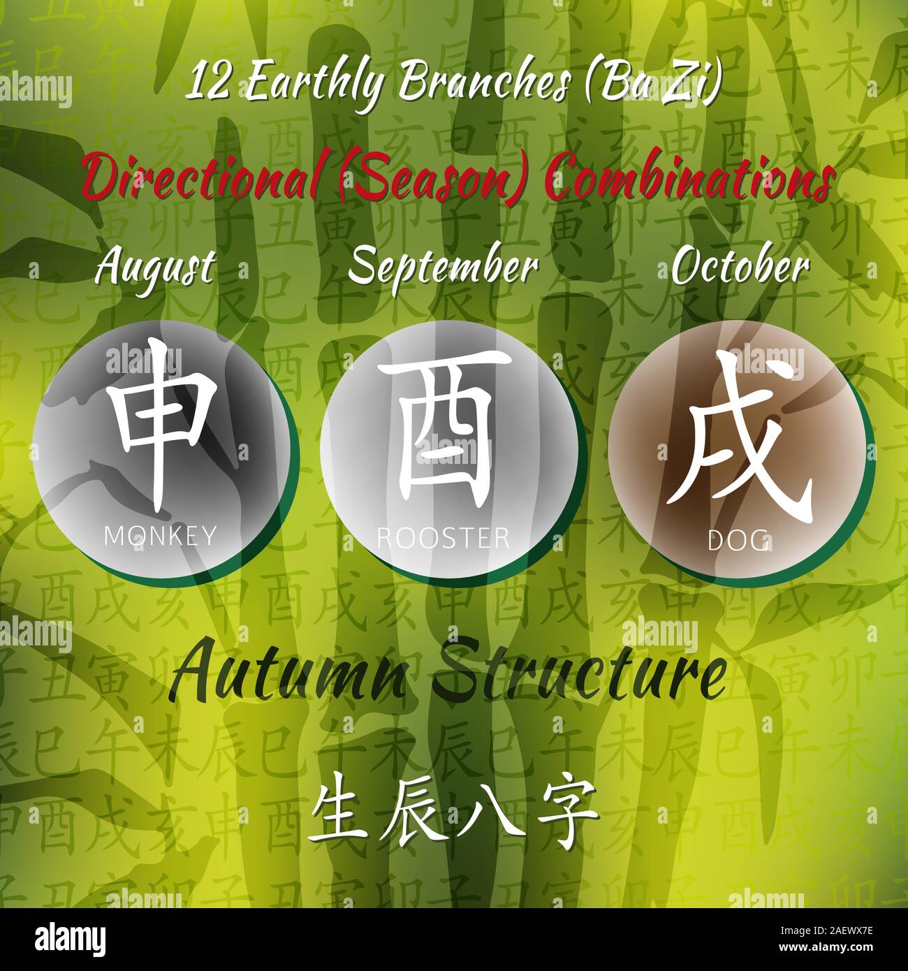 Chinese feng shui horoscope letters. Ba zi Combinations. Translation of ...