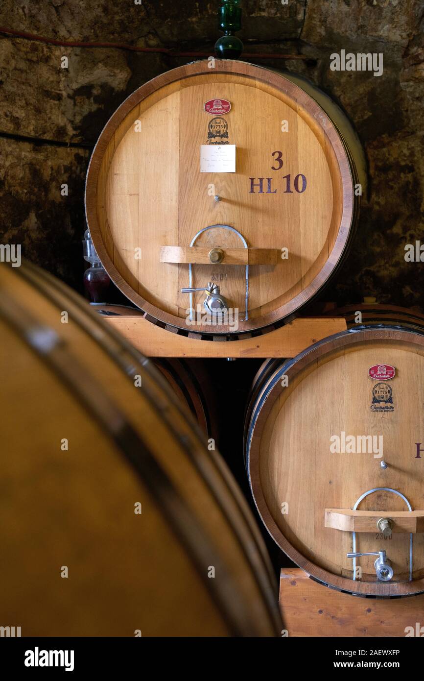 The wine cellar and barrels of the historic Cantine de Ricci Winery in ...