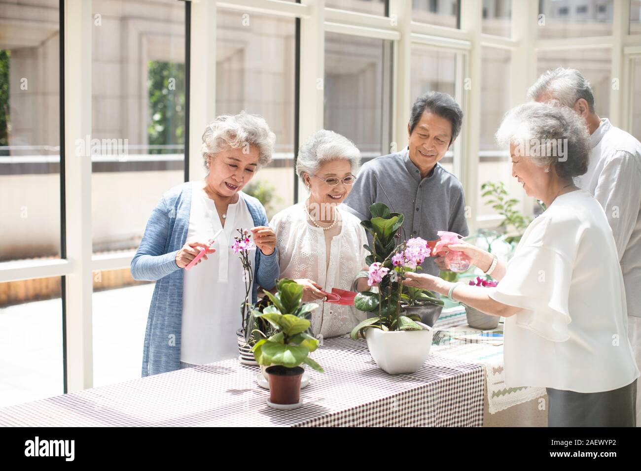 Senior friends planting flowers in nursing home Stock Photo - Alamy